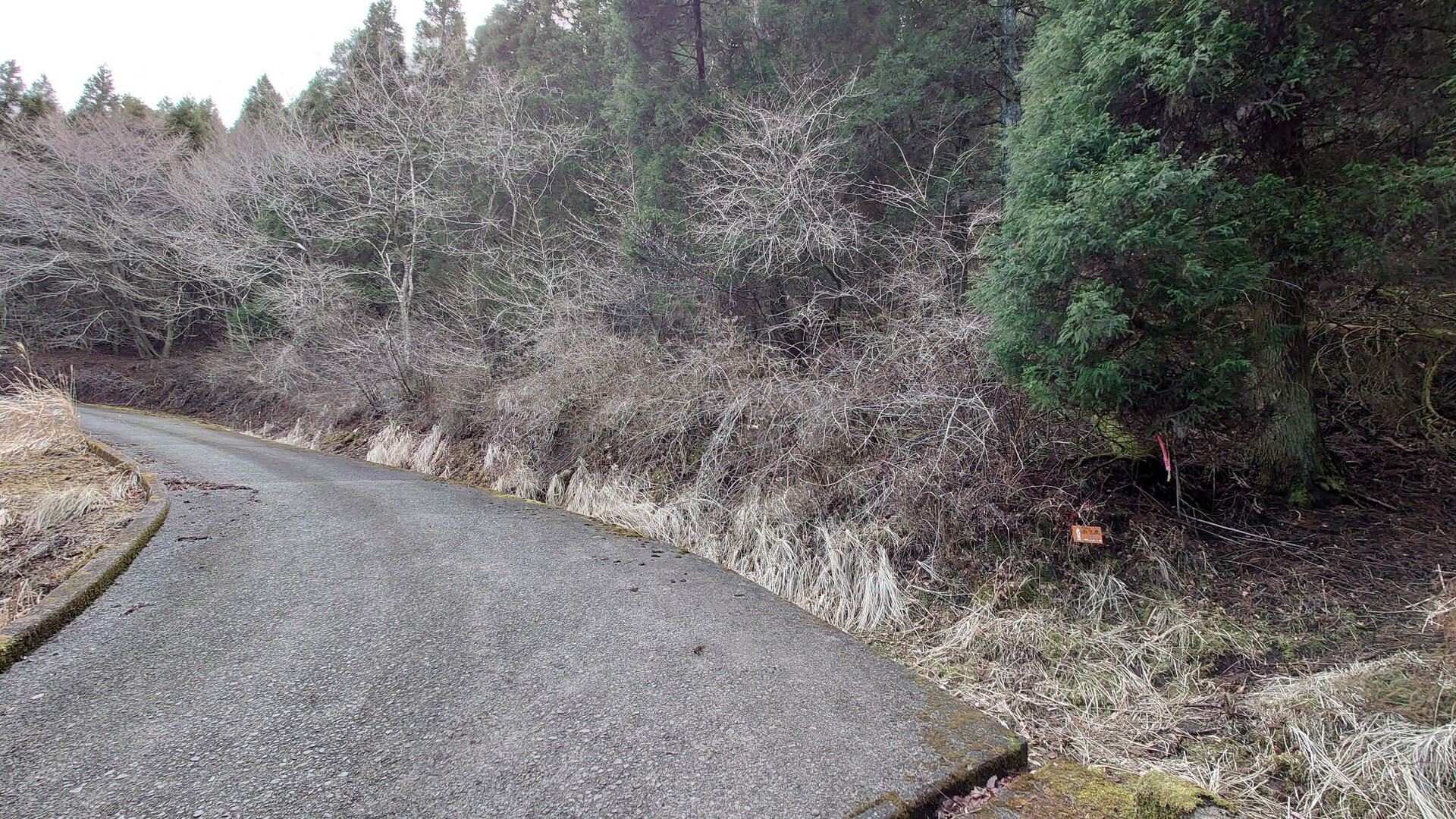 たっちゃんさんの投稿したフィールドメモ | YAMAP / ヤマップ
