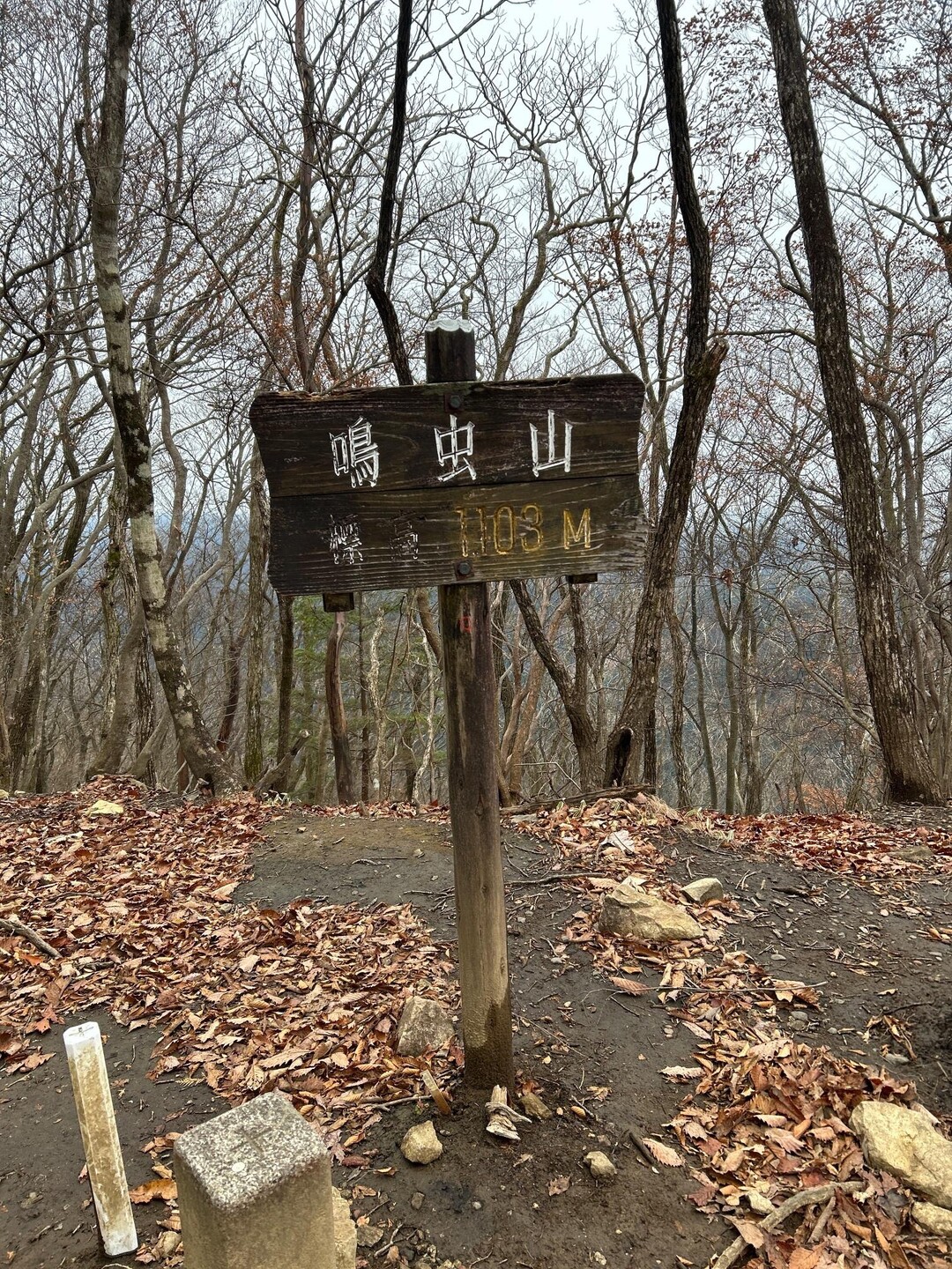 鳴虫山、火戸尻山 2022-12-01 / yuu39さんのウォーキングの活動データ | YAMAP / ヤマップ