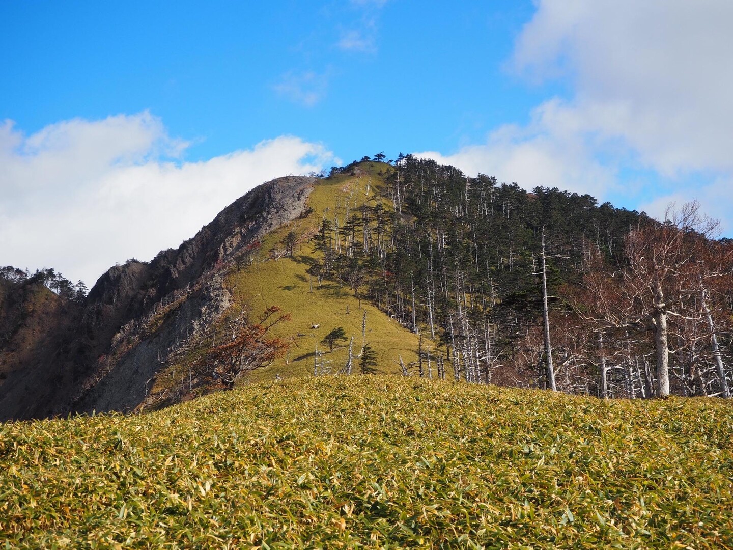 丸盆岳 ㊗️YAMAP100座目😆 / Gawaさんの黒法師岳・前黒法師岳・不動岳の活動データ | YAMAP / ヤマップ