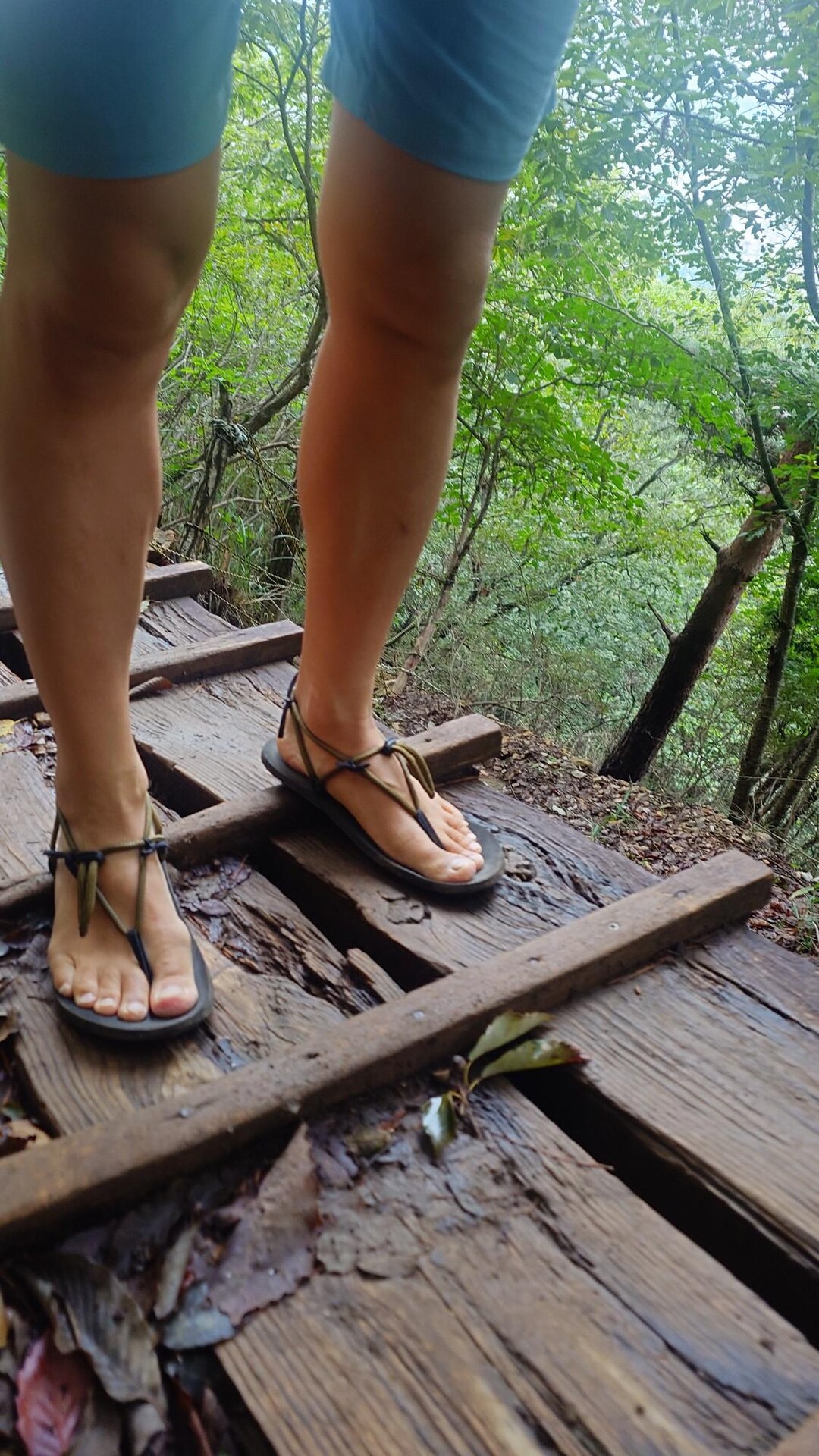 ようやく秋の気配 28分登頂 / ta2さんの鳴神山・吾妻山の活動データ | YAMAP / ヤマップ