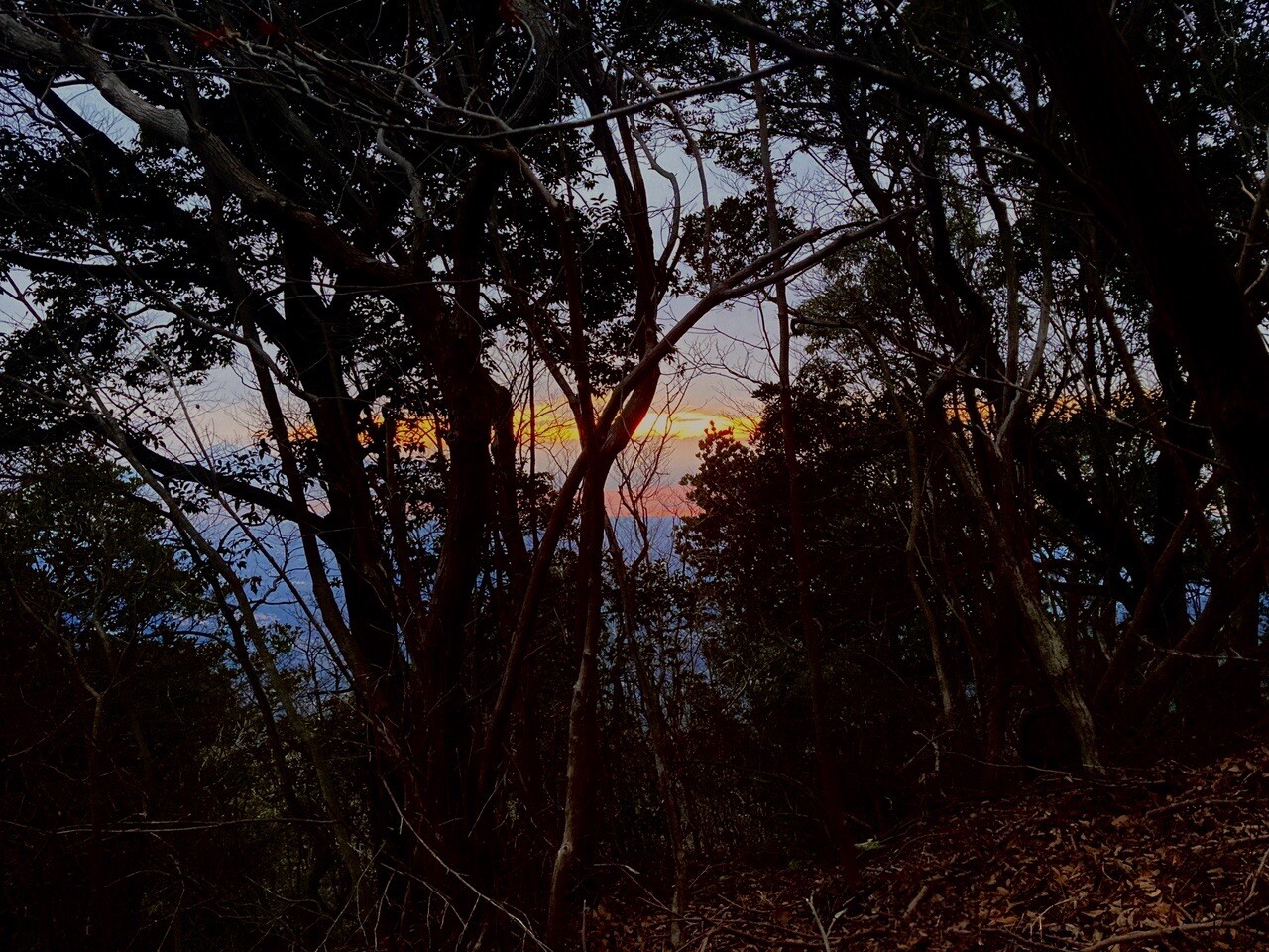 時々、無性に「山頂からの日没」が見たくな... / toraさんのモーメント | YAMAP / ヤマップ