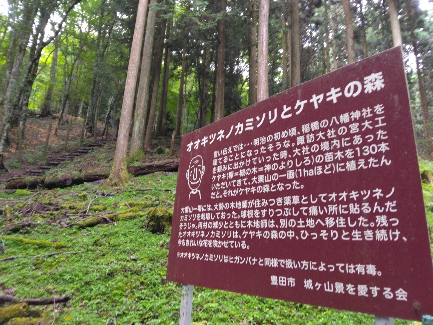 大栗山・月ヶ平 / てくてくZ3さんの天狗棚・1200高地（天狗ノ奥山）・碁盤石山の活動日記 | YAMAP / ヤマップ