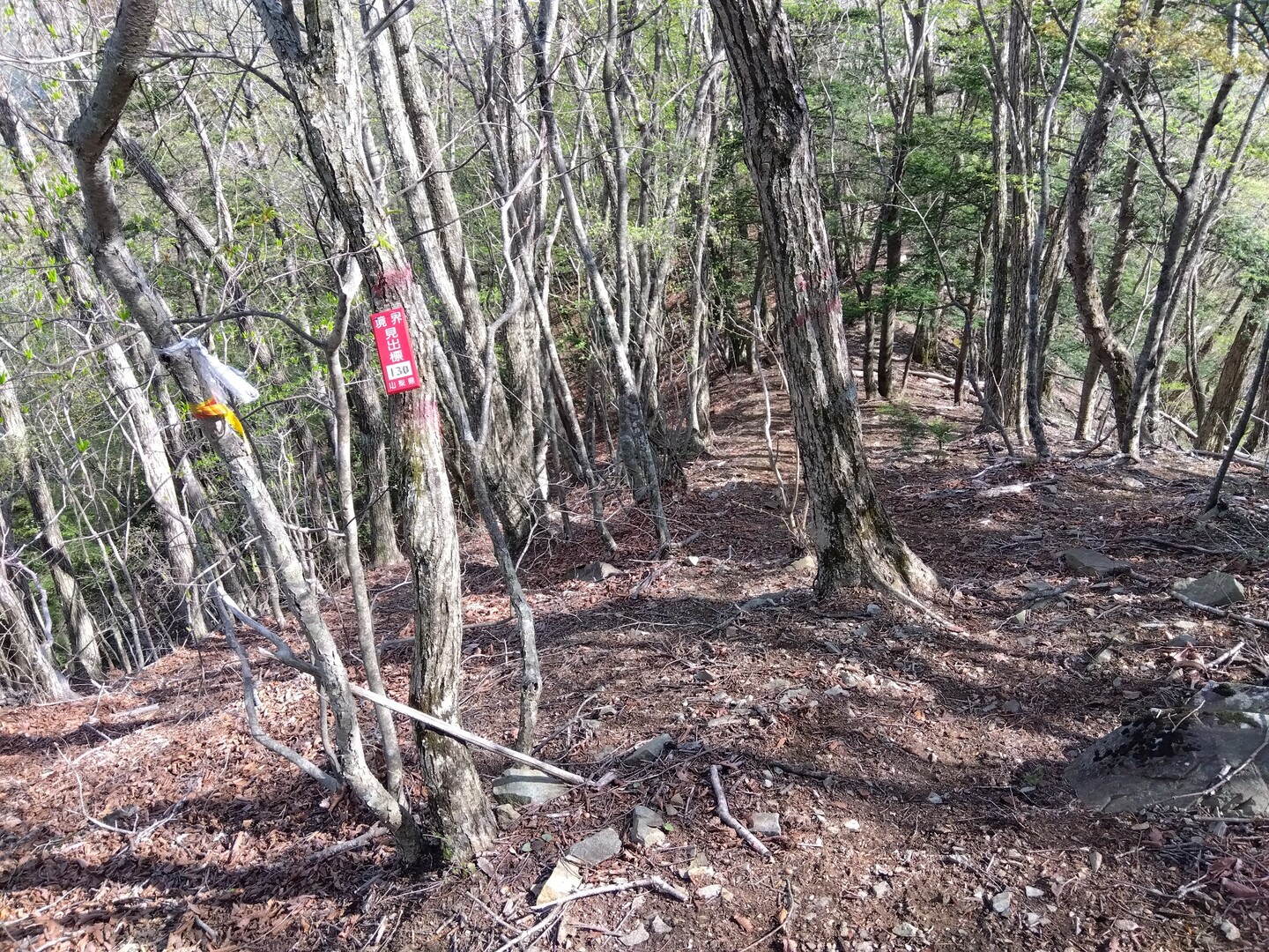 taiidanaさんの投稿したフィールドメモ | YAMAP / ヤマップ