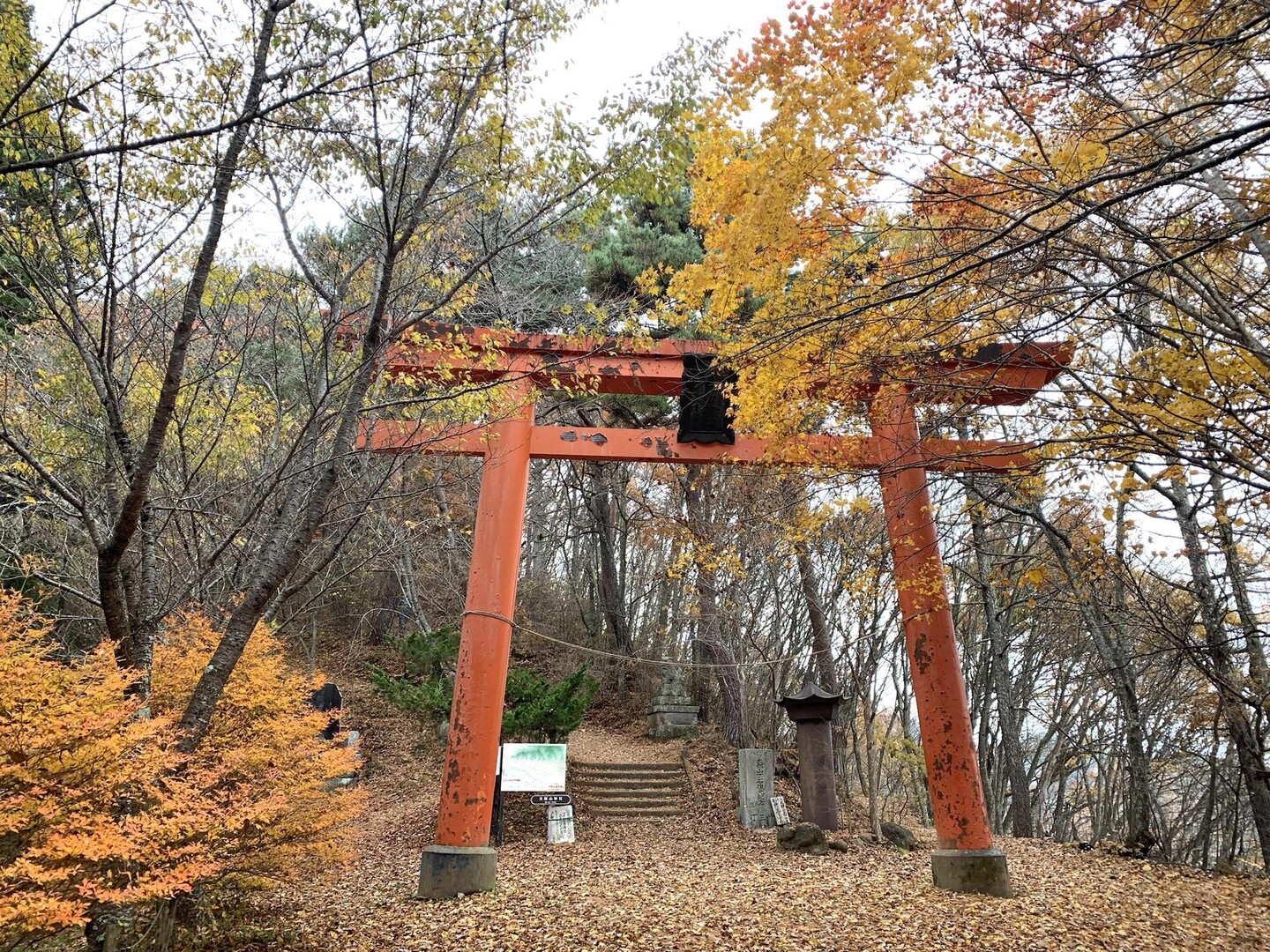 太郎山(28回目) / SamuSamuさんの太郎山の活動日記 | YAMAP / ヤマップ