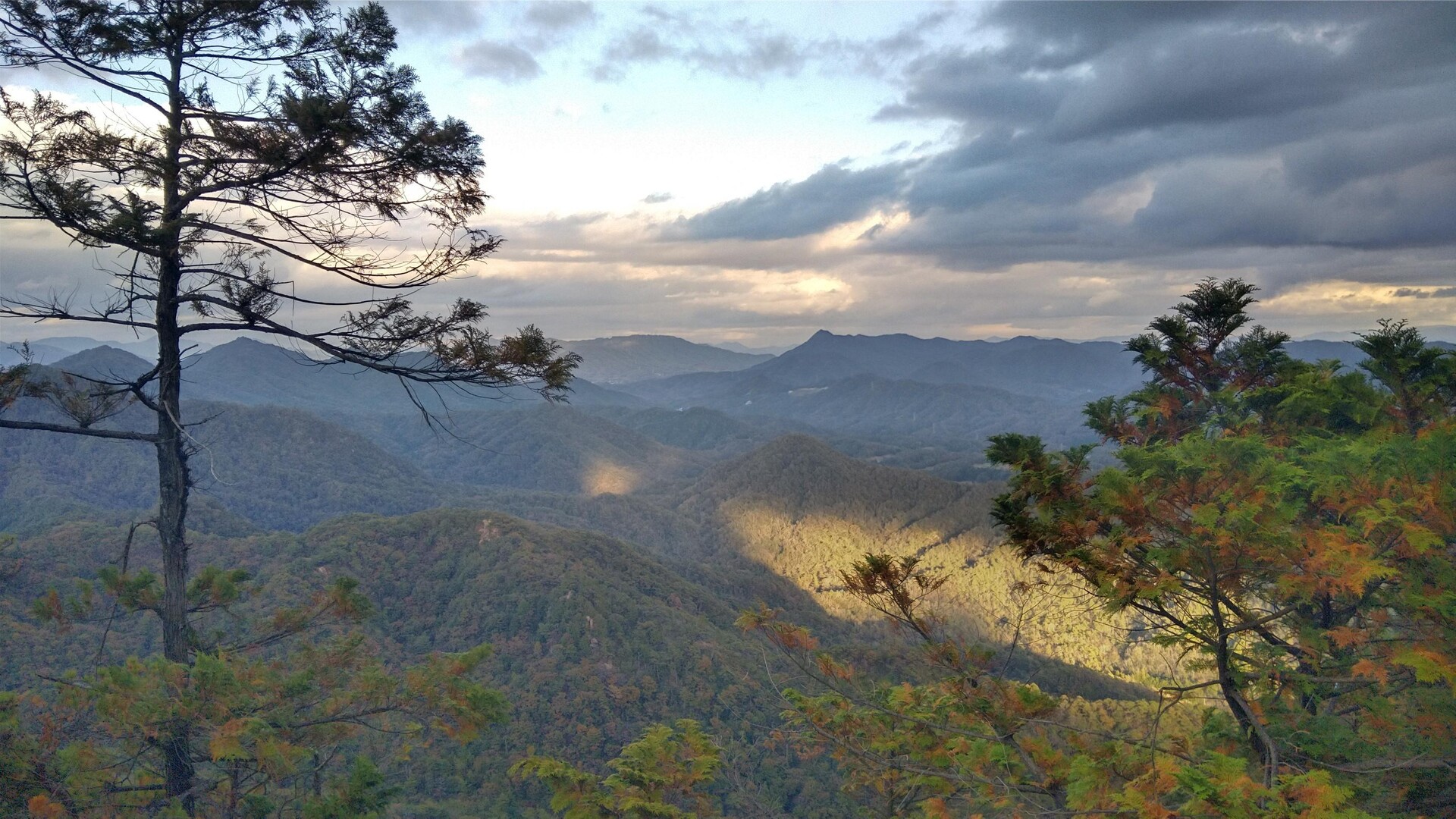 ぷらっと三倉岳⛰️ / mimaさんの三倉岳・瓦小屋山の活動データ | YAMAP / ヤマップ