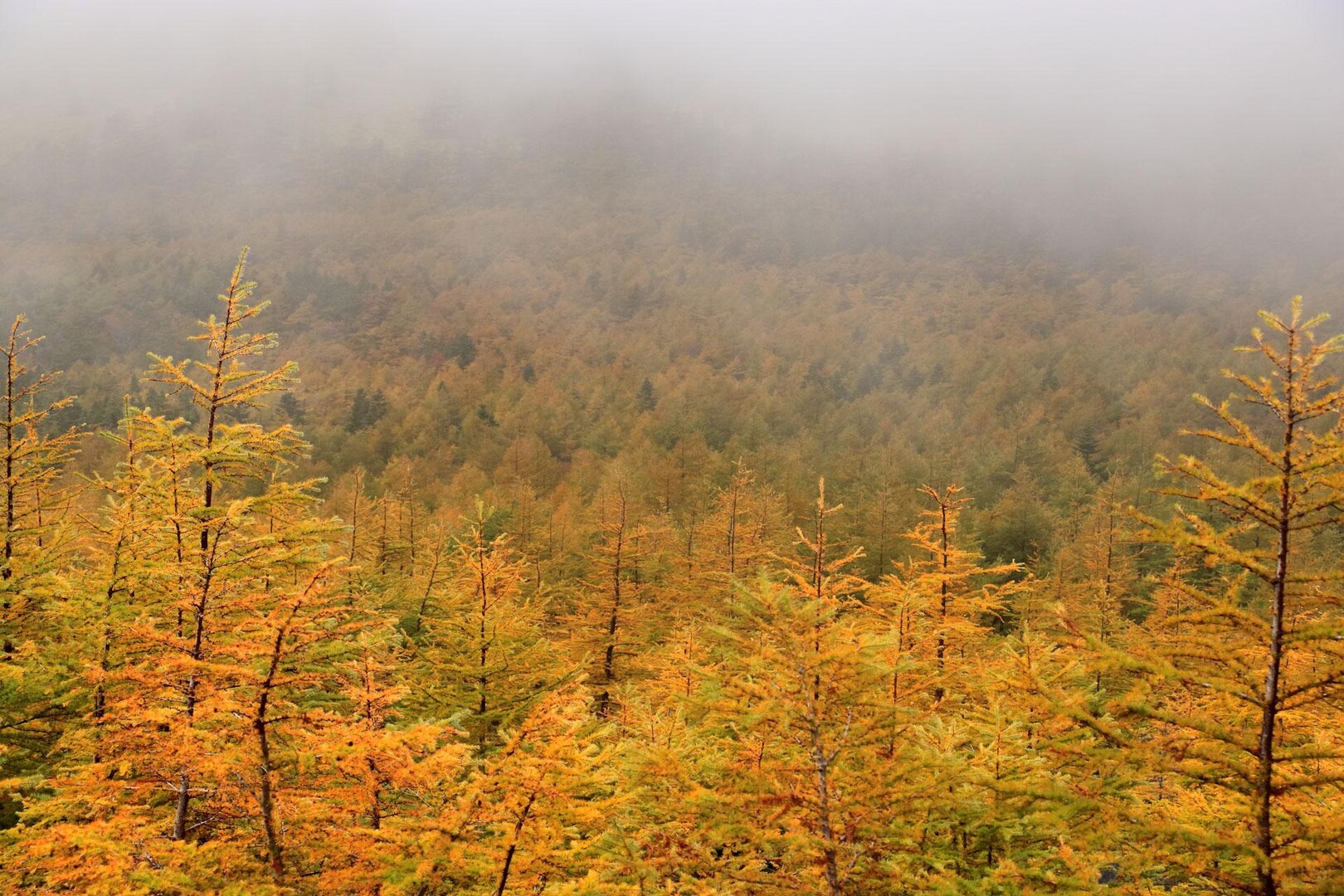 浅間山（前掛山・Jバンド） / bysunさんの浅間山・黒斑山・篭ノ登山の活動データ | YAMAP / ヤマップ