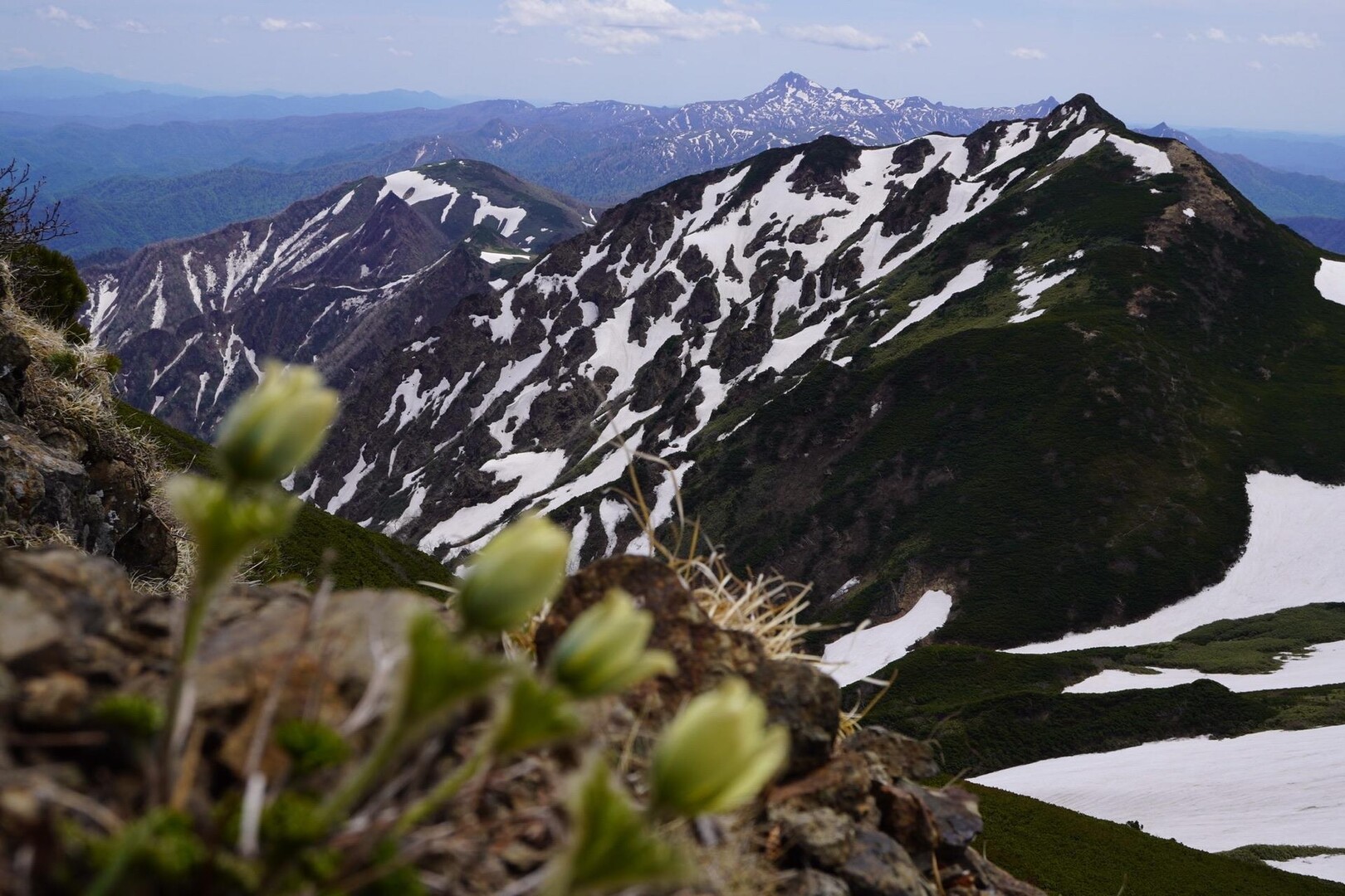 労働🥫と対価🌱・芦別岳〈旧道→新道〉 / goemonさんの芦別岳の活動データ | YAMAP / ヤマップ
