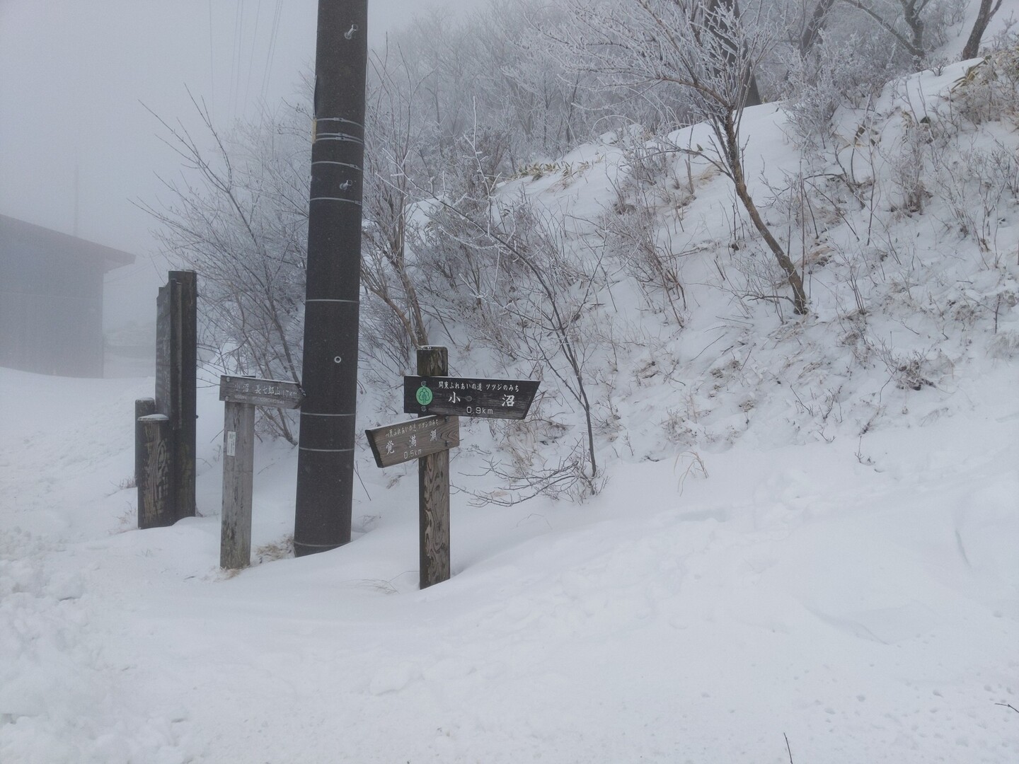 いなかっぺBoyさんの投稿したフィールドメモ | YAMAP / ヤマップ