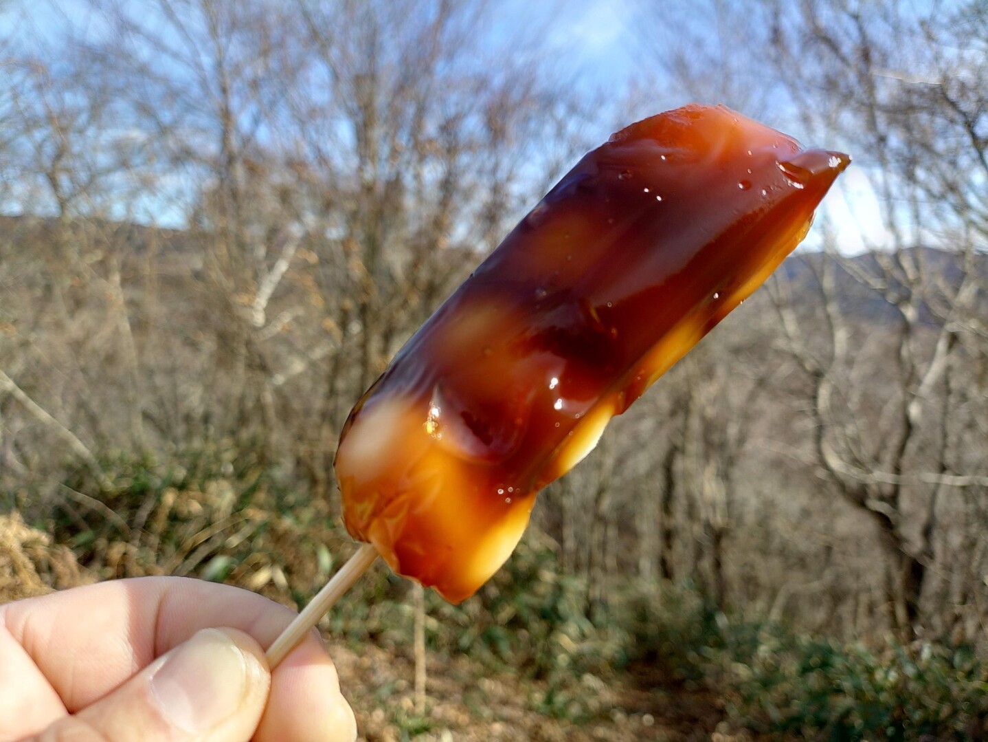 往生山 / kohirouさんの湯ノ岳・天狗山・三大明神山の活動データ | YAMAP / ヤマップ