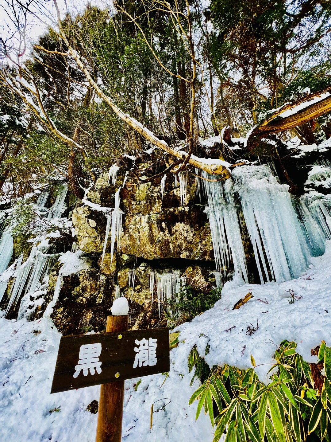 龍頭山 氷瀑 まだイケる / PEZ（ペッツ）さんの龍頭山の活動データ | YAMAP / ヤマップ