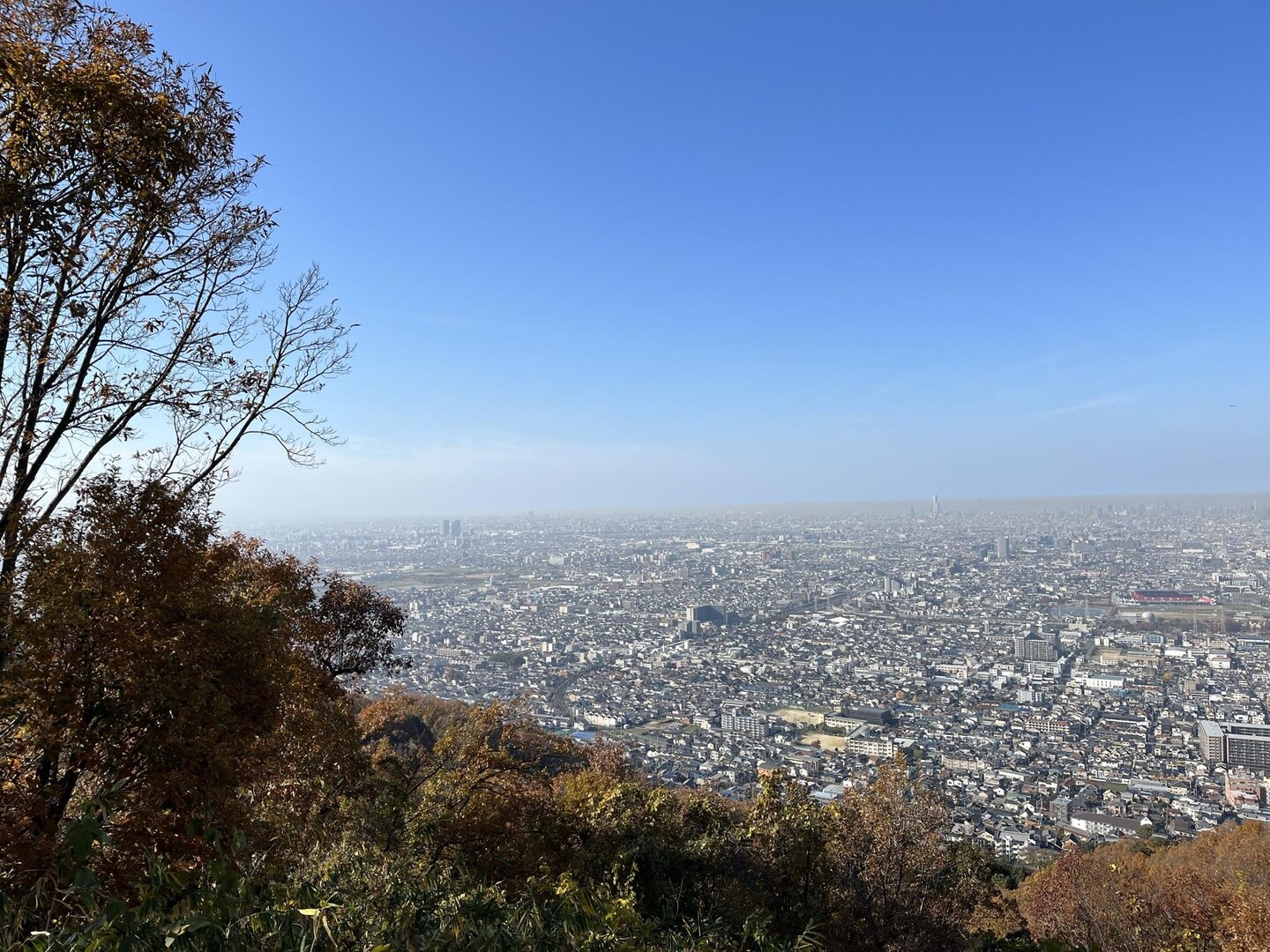 神津嶽・小倉山 / Roy_Yaotianさんの生駒山・神津嶽・大原山の活動データ | YAMAP / ヤマップ