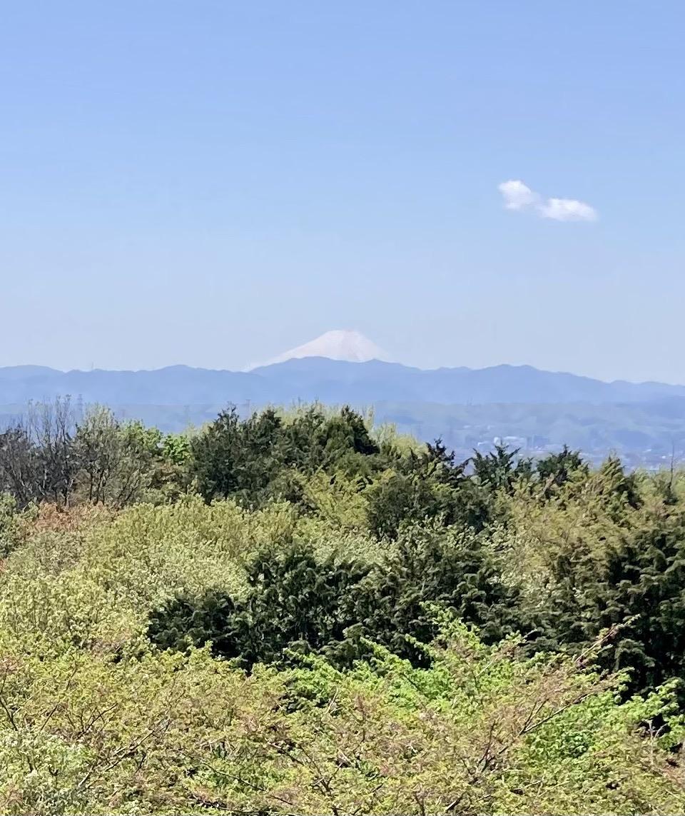 加治丘陵 桜山展望台からの眺望 シロダ... / skipさんのモーメント | YAMAP / ヤマップ