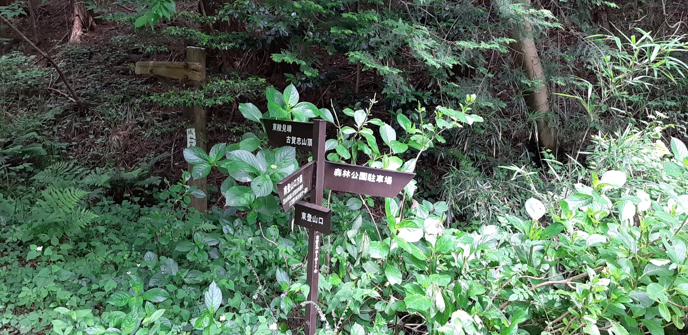 まこと 古賀志山にハマってます👨さんの投稿したフィールドメモ | YAMAP / ヤマップ