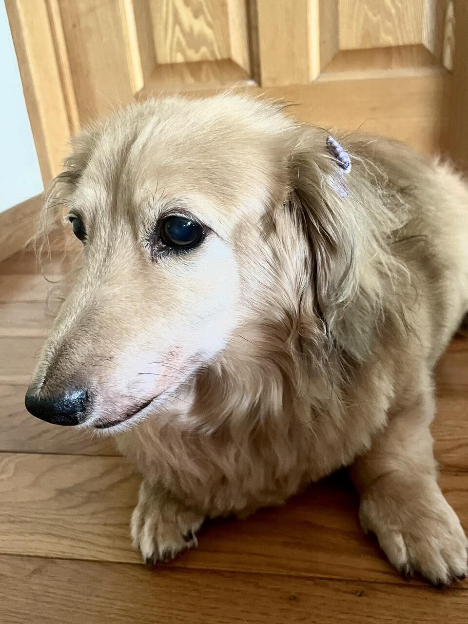 Toshiのページ | YAMAP / ヤマップ