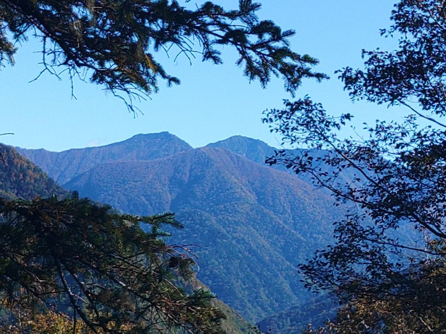 色づき始めた日高にて🍁留辺蘂山 / ふじやんさんのGT3 8の活動データ | YAMAP / ヤマップ