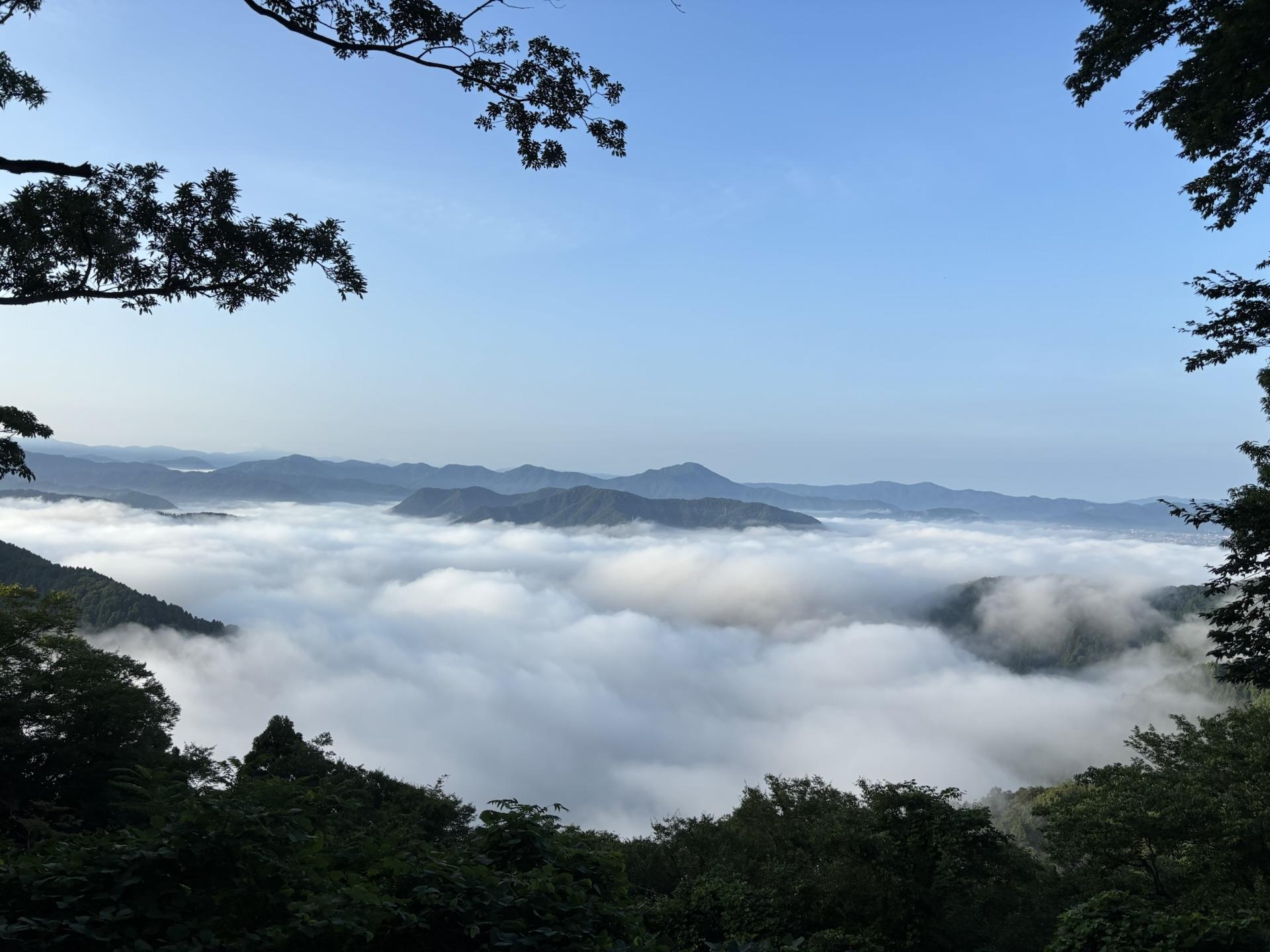 文殊山163回目 / 🌸ako🌸さんの文殊山の活動データ | YAMAP / ヤマップ