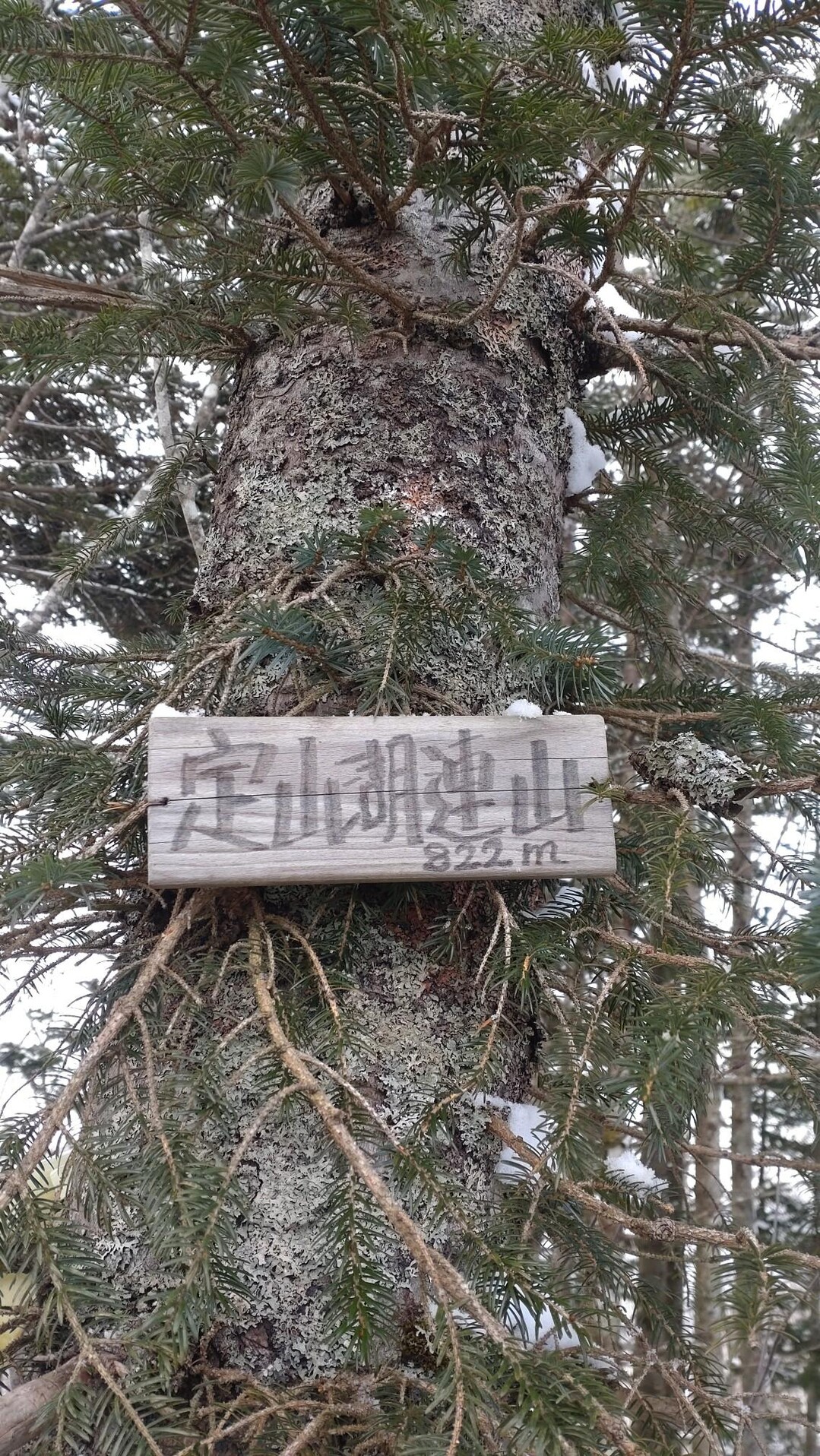 定山湖連山・大曲山・800m峰 / かずぴさんの札幌岳・空沼岳の活動データ | YAMAP / ヤマップ