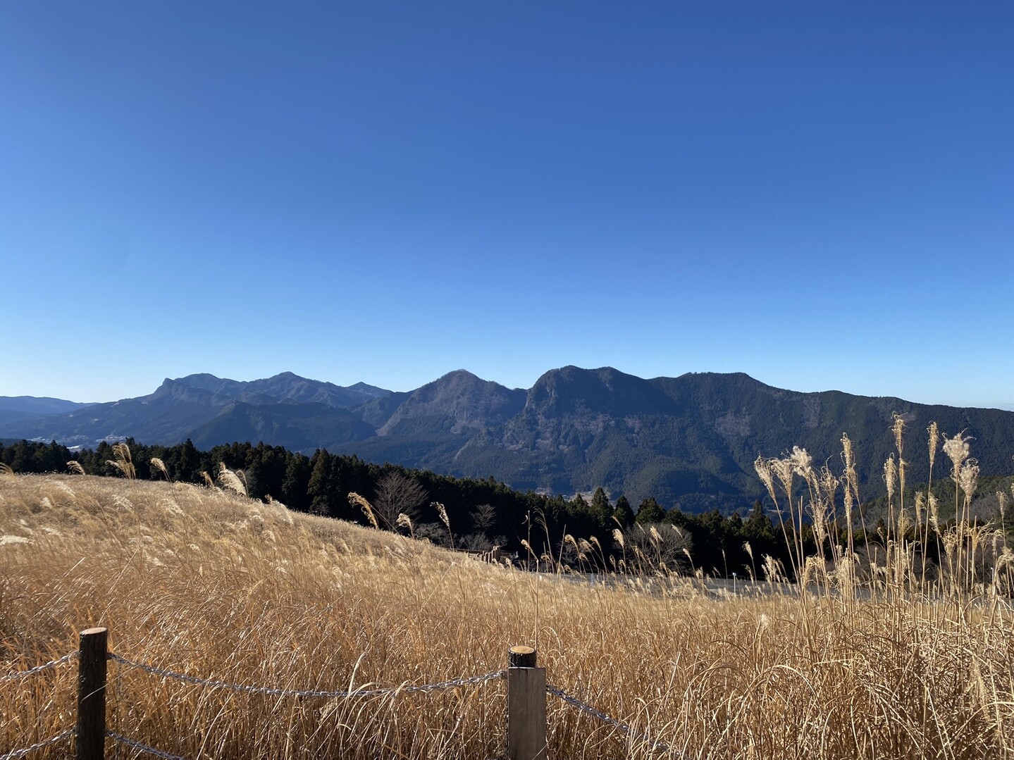 あけましておめでとうございます。 今日は... / tomoさんのモーメント | YAMAP / ヤマップ