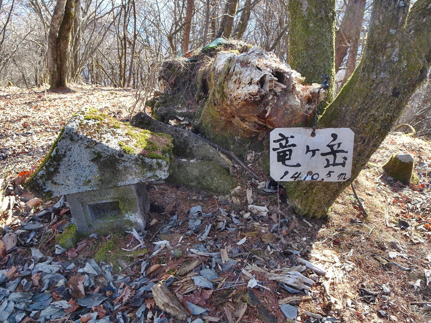 竜ヶ岳～笹塒山 / aomoriさんの浅間隠山・駒髪山・丸岩の活動データ | YAMAP / ヤマップ