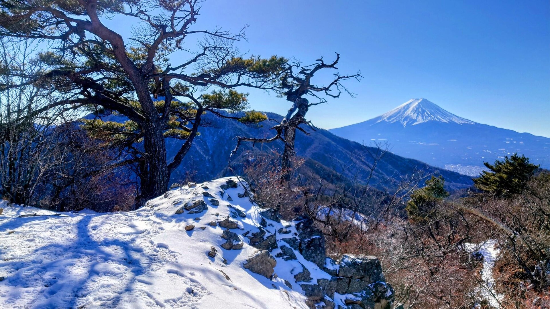 2024山始め⛰三ッ峠山 / capetaさんの三ッ峠山・本社ヶ丸・鶴ヶ鳥屋山の活動データ | YAMAP / ヤマップ