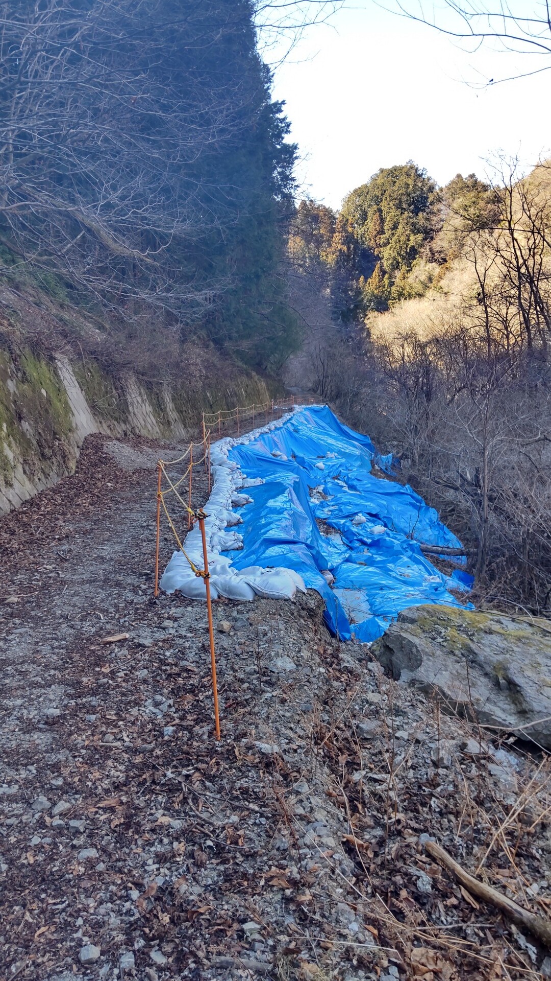 Danさんの投稿したフィールドメモ | YAMAP / ヤマップ