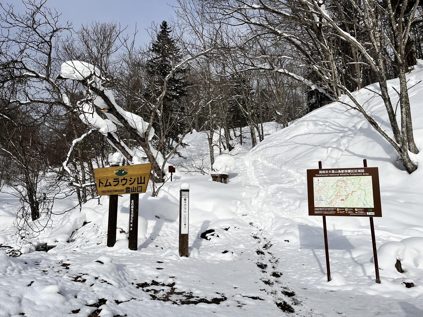 トムラウシ温泉〜望岳台 / せっちさんのGT3 2の活動データ | YAMAP / ヤマップ