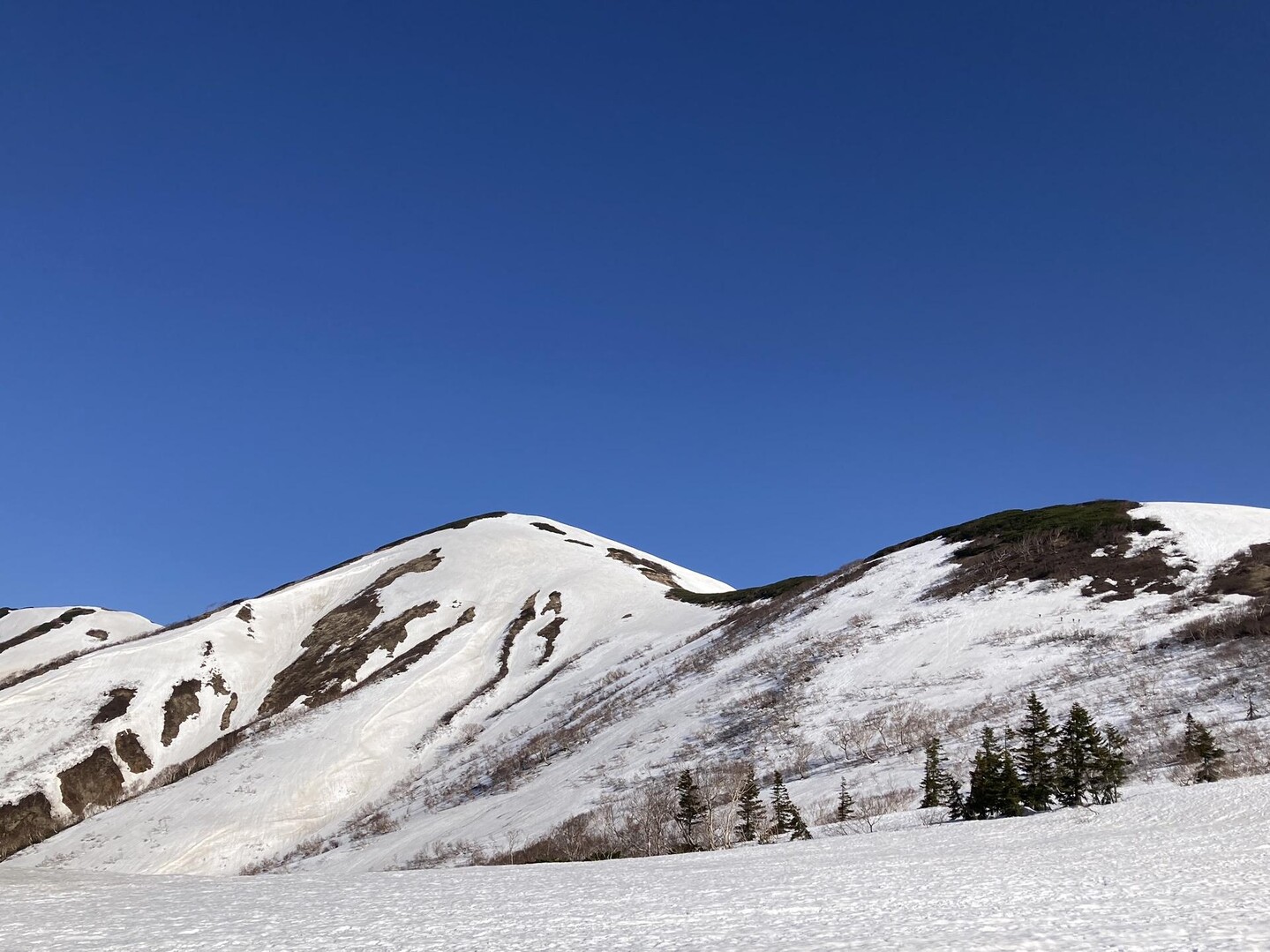 火打山 / hrkさんの妙高山・火打山の活動データ | YAMAP / ヤマップ
