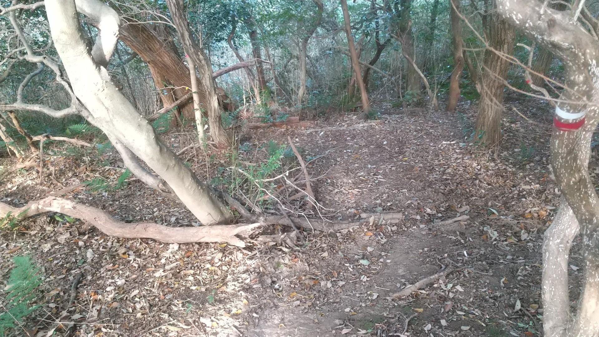 ShinjiHさんの投稿したフィールドメモ | YAMAP / ヤマップ