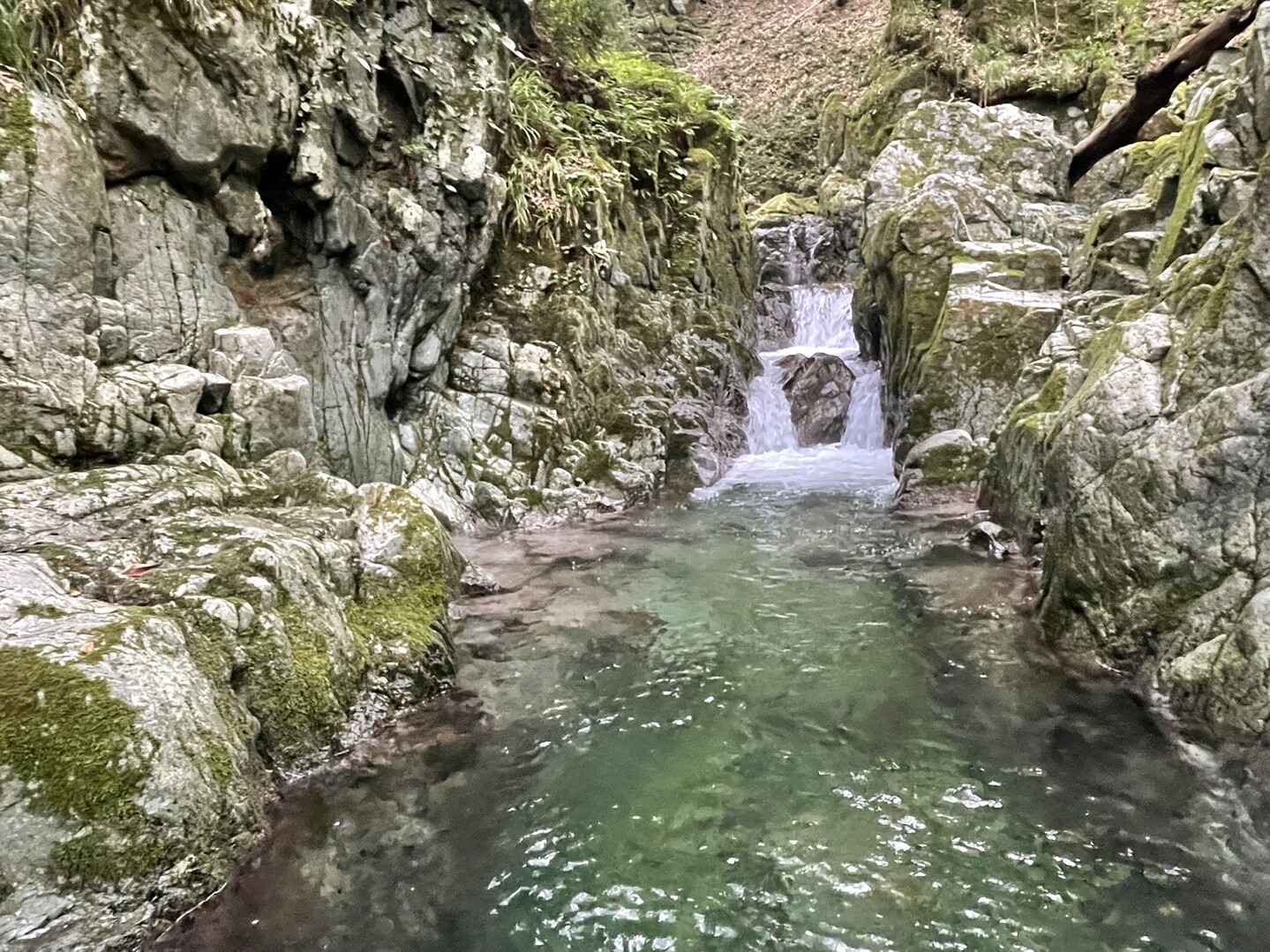 音水渓谷沢登り-2022-08-10 / kazuomoさんの三久安山・阿舎利山・一山の活動データ | YAMAP / ヤマップ