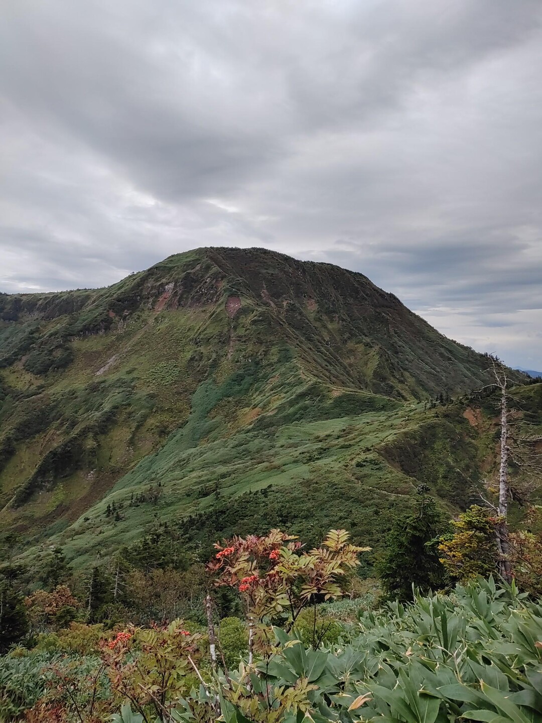 曇りでも絶景かな、苗場山 / kaz kitさんの苗場山・赤倉山・佐武流山の活動データ | YAMAP / ヤマップ
