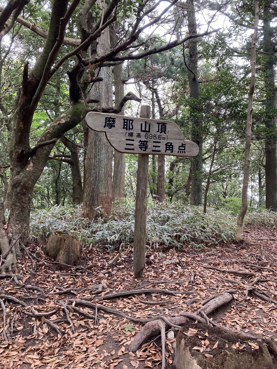 摩耶山 / BIG Eさんの六甲山・長峰山・摩耶山の活動データ | YAMAP / ヤマップ