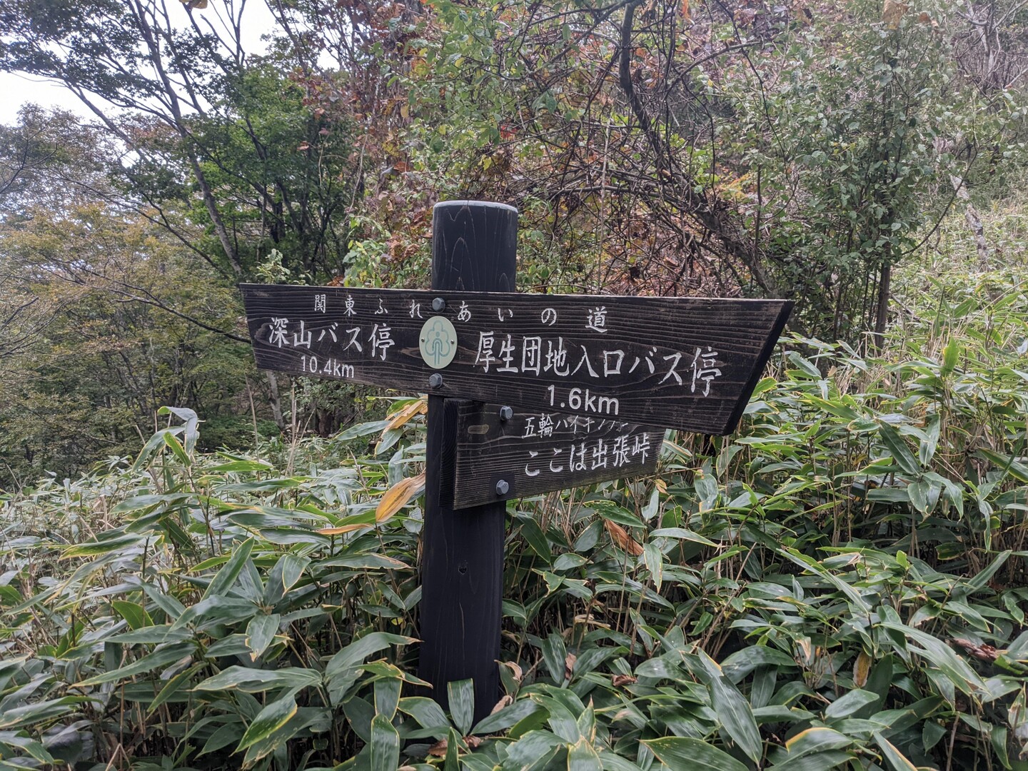 赤城⑦出張峠リベンジ（PM） / 体じゅうげんさんの赤城山・黒檜山・荒山の活動データ | YAMAP / ヤマップ