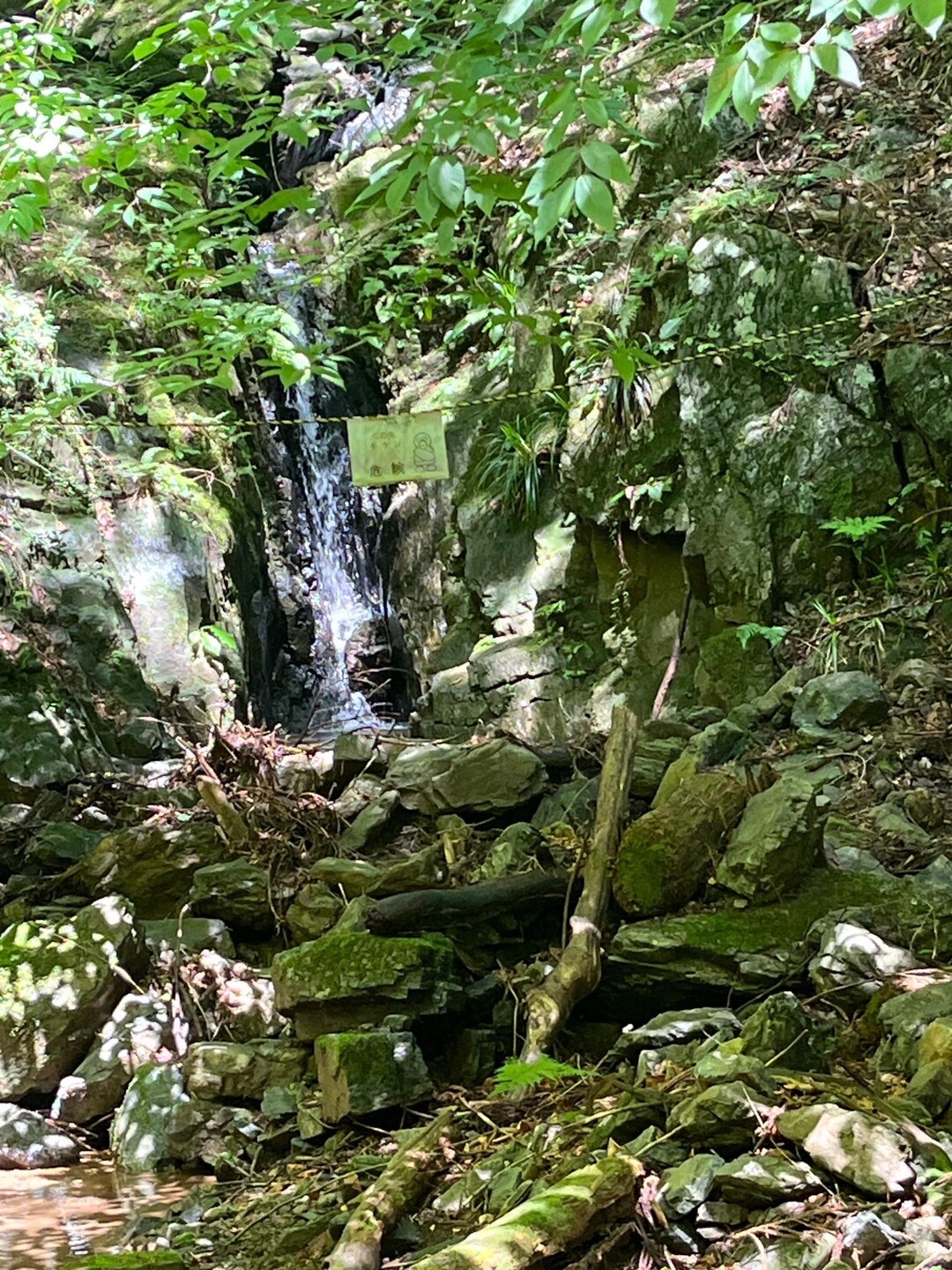 棒ノ折山(棒ノ嶺) / Y-kobaさんの棒ノ折山（棒ノ嶺）の活動データ | YAMAP / ヤマップ