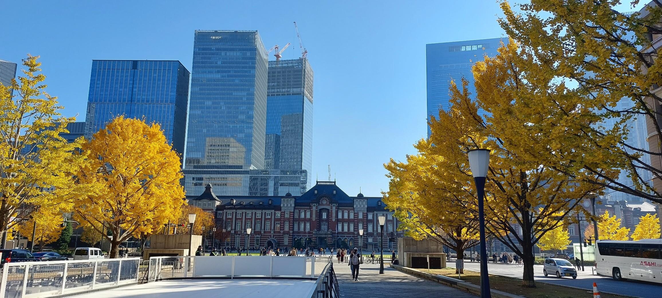 皇居乾通り-2024-12-03 / HALさんのウォーキングの活動データ | YAMAP / ヤマップ