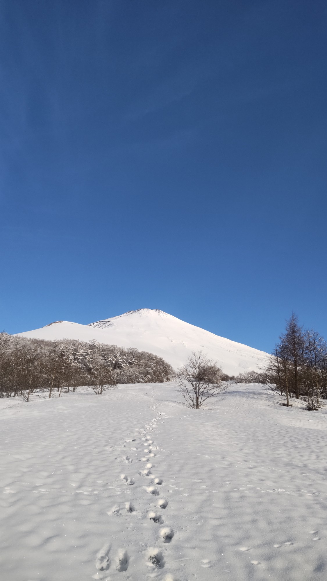 富士山-降雪 太郎坊2022-04-02 / モカ ナチュラルさんの富士山の活動データ | YAMAP / ヤマップ