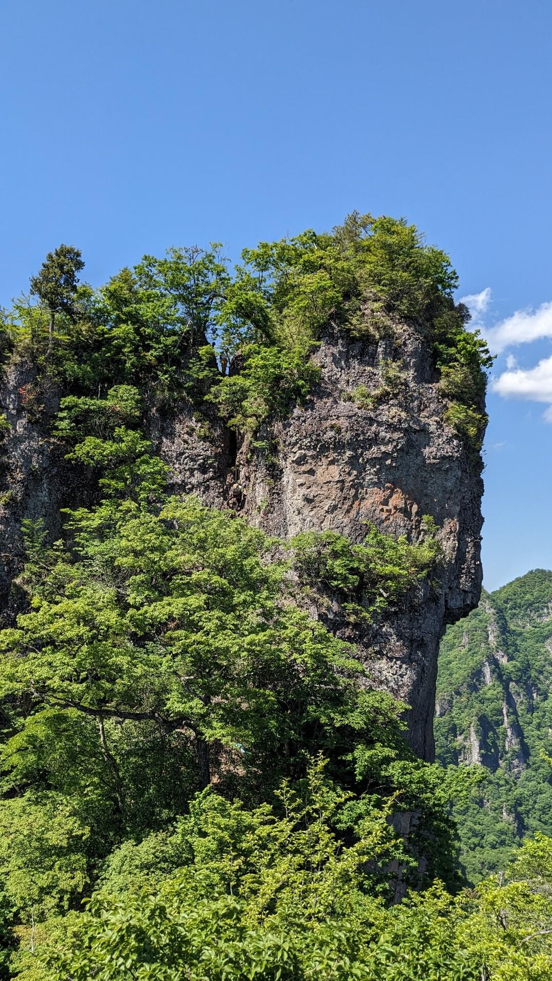 表妙義縦走 / moriさんの妙義山・天狗岳・相馬岳の活動データ | YAMAP / ヤマップ
