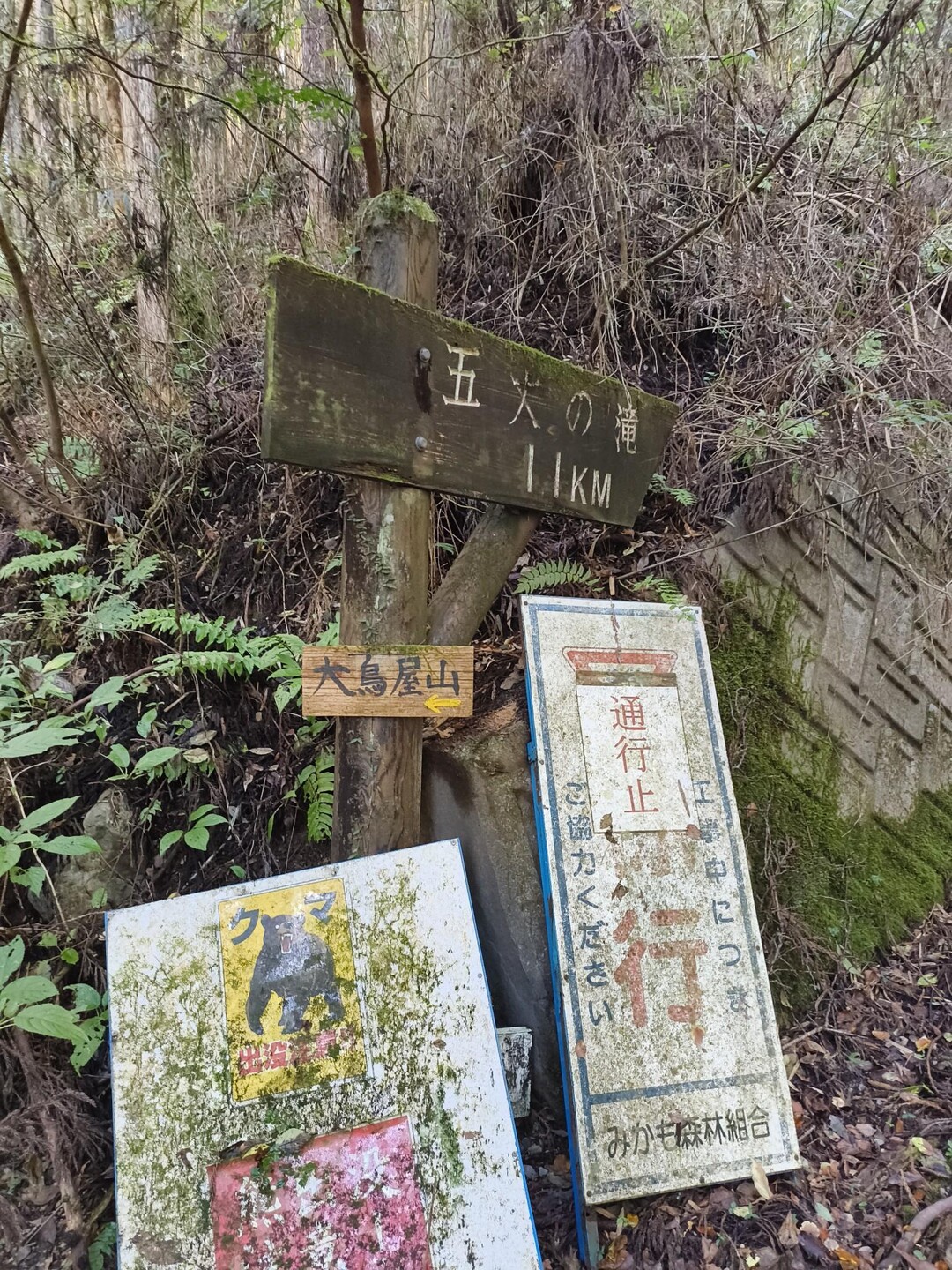 大鳥屋山・岳ノ山 / UK.eさんの大鳥屋山・岳ノ山の活動データ | YAMAP / ヤマップ