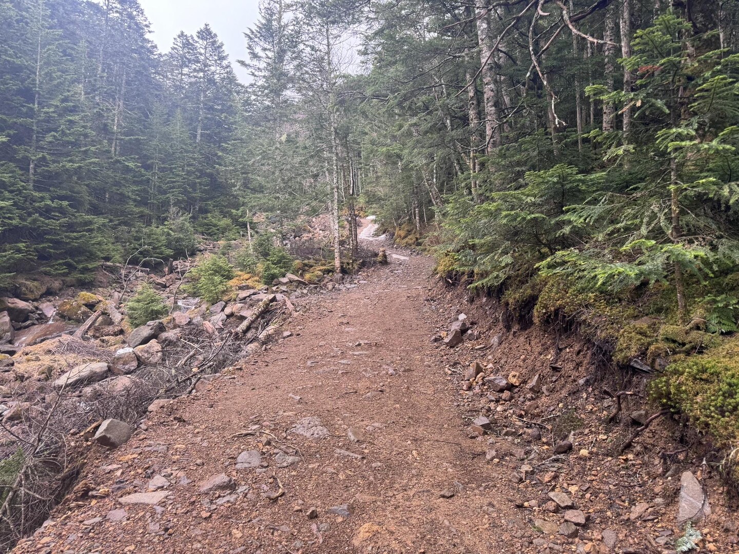 2024.5月期合宿 「結果的に八ヶ岳の下見」 / s.KATOさんの八ヶ岳（赤岳・硫黄岳・天狗岳）の活動データ | YAMAP / ヤマップ
