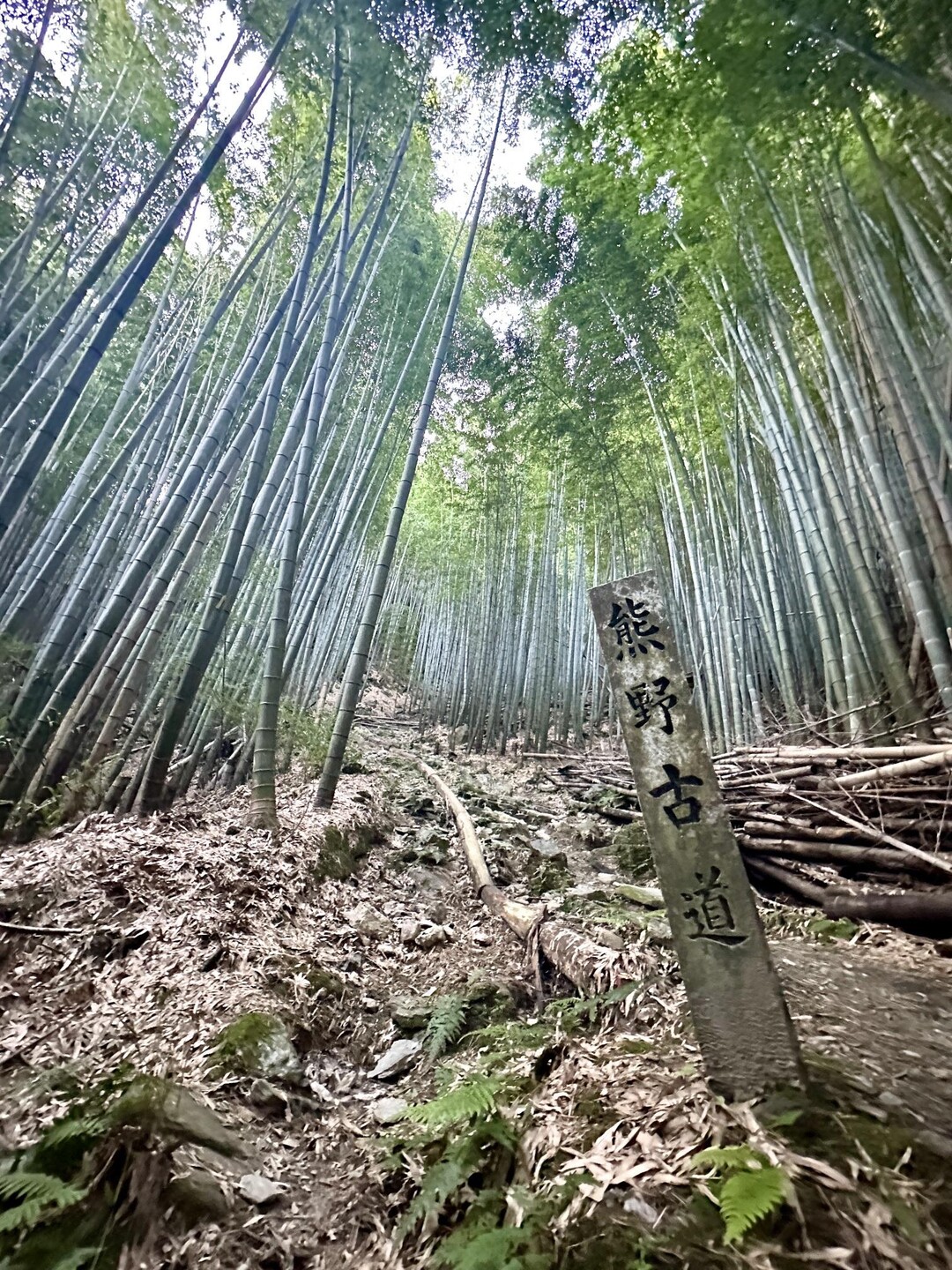 熊野古道 紀伊路 day3/4 / kazuさんの熊野古道 紀伊路①（山中渓駅～湯浅駅）の活動日記 | YAMAP / ヤマップ