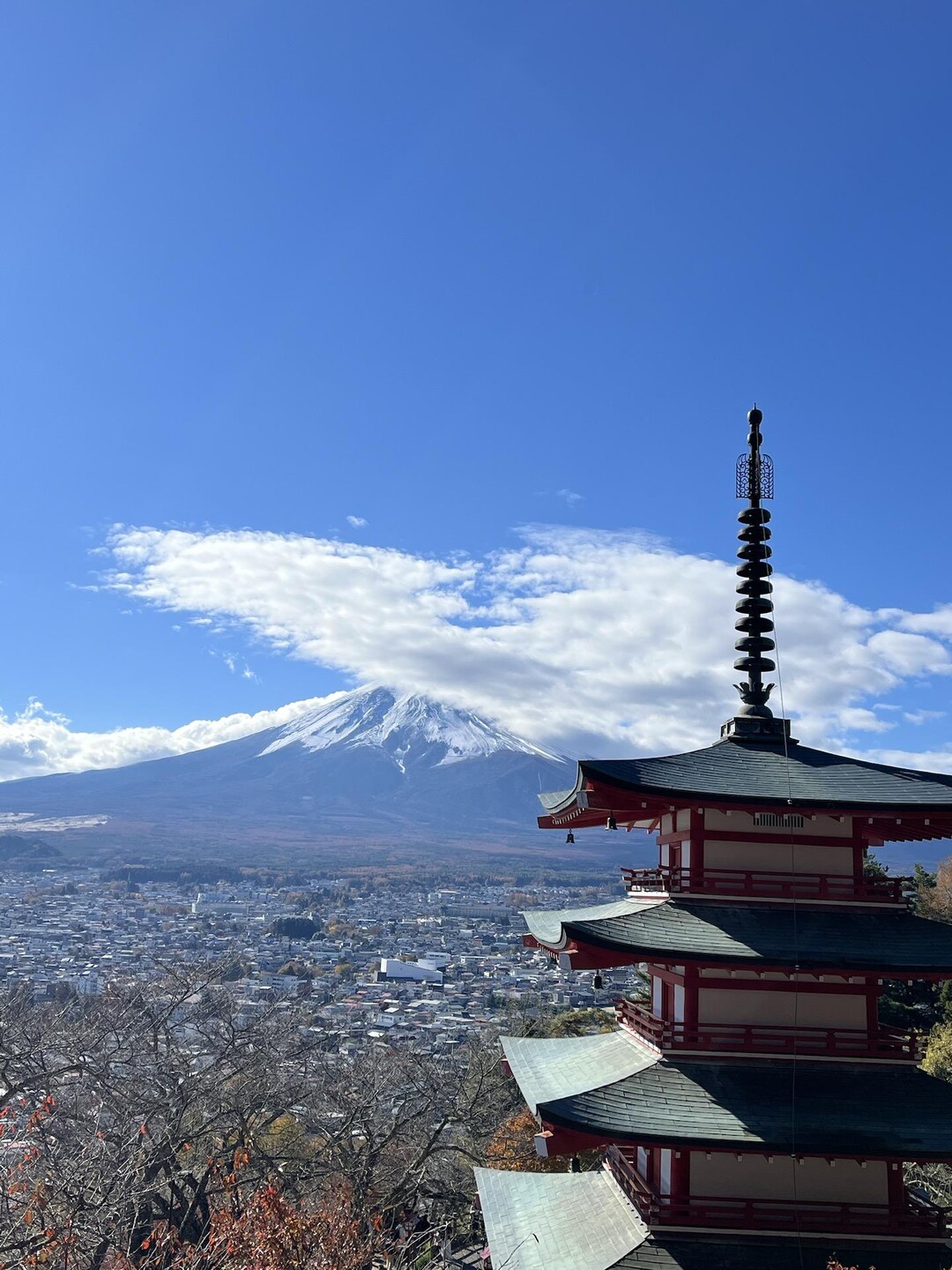 新倉山・御殿 人気の場所へ / aromaさんの三ッ峠山・本社ヶ丸・鶴ヶ鳥屋山の活動データ | YAMAP / ヤマップ