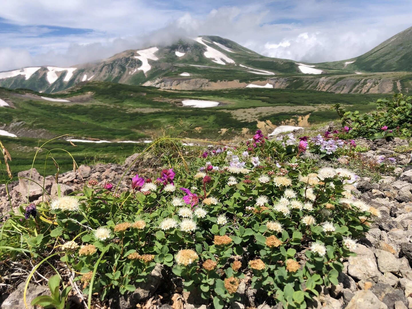 黒岳〜お鉢まわり / FUM!さんの大雪山系・旭岳・トムラウシの活動データ | YAMAP / ヤマップ