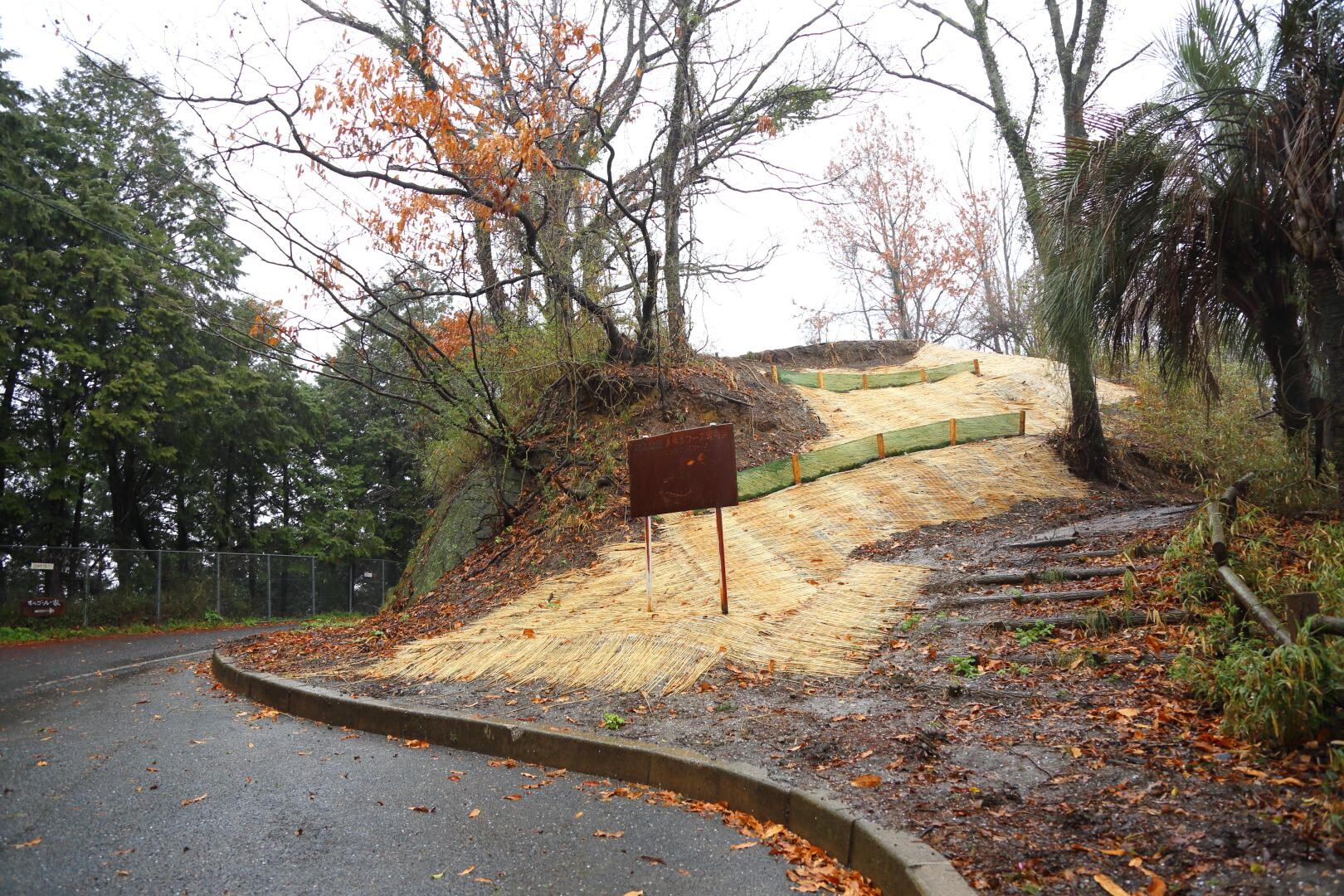 杷木の高山 / yavさんの麻底良山の活動データ | YAMAP / ヤマップ