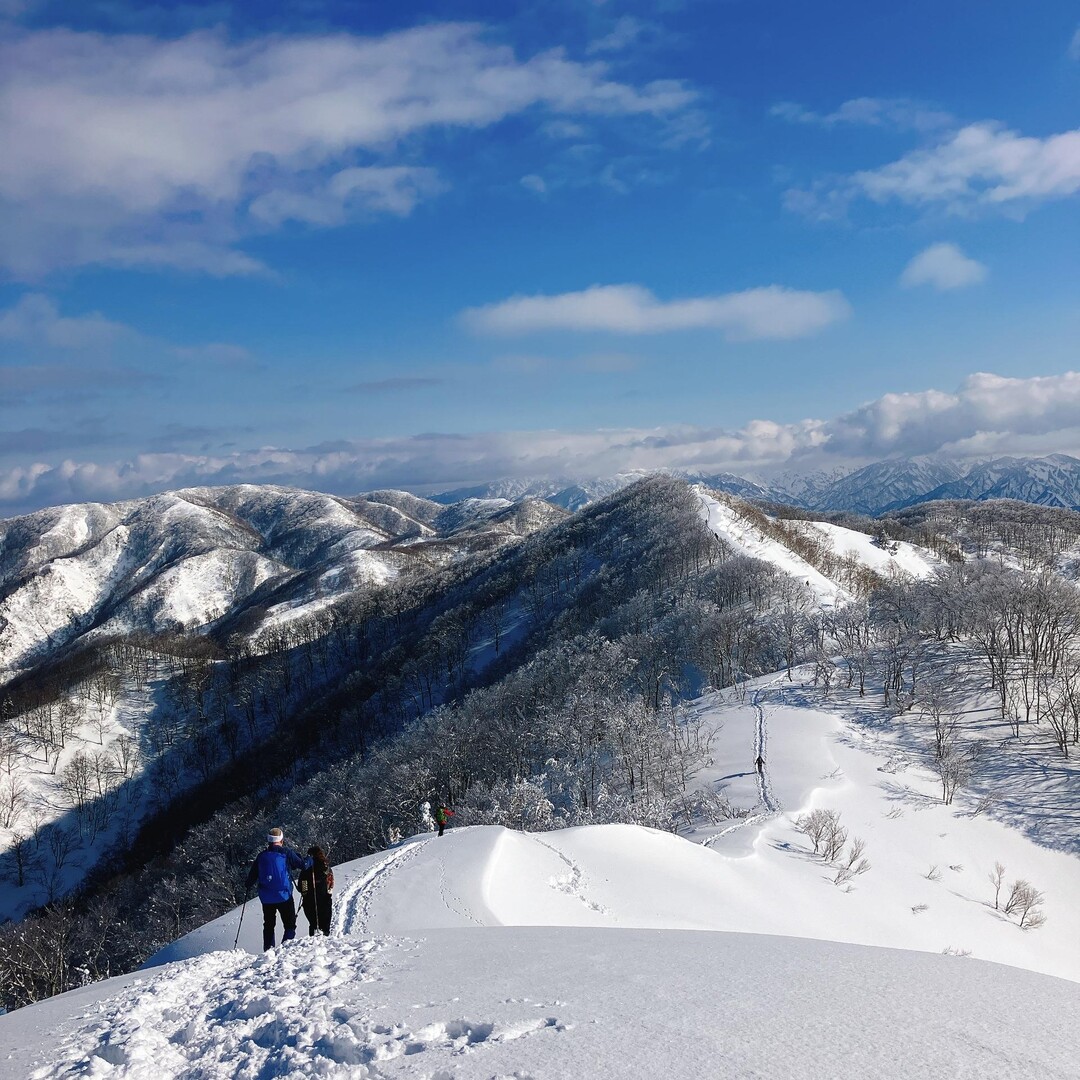 三ノ峰・二ノ峰・一ノ峰・前一ノ峰・五頭山 / ark-kさんの五頭山・菱ヶ岳・宝珠山の活動データ | YAMAP / ヤマップ