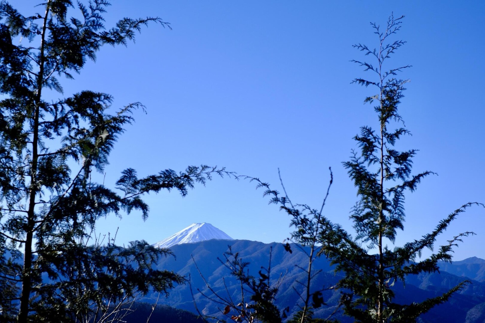 甲州の高尾山 / sopaさんの甲州高尾山・宮宕山・源次郎岳の活動データ | YAMAP / ヤマップ