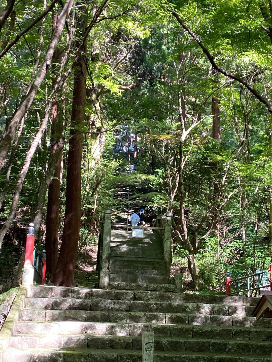 天王山 26 / tamakoyさんの天王山・誕生山の活動データ | YAMAP / ヤマップ