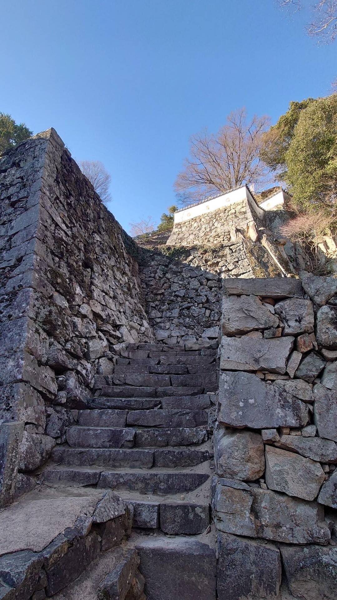 blackmoreさんの投稿したフィールドメモ | YAMAP / ヤマップ