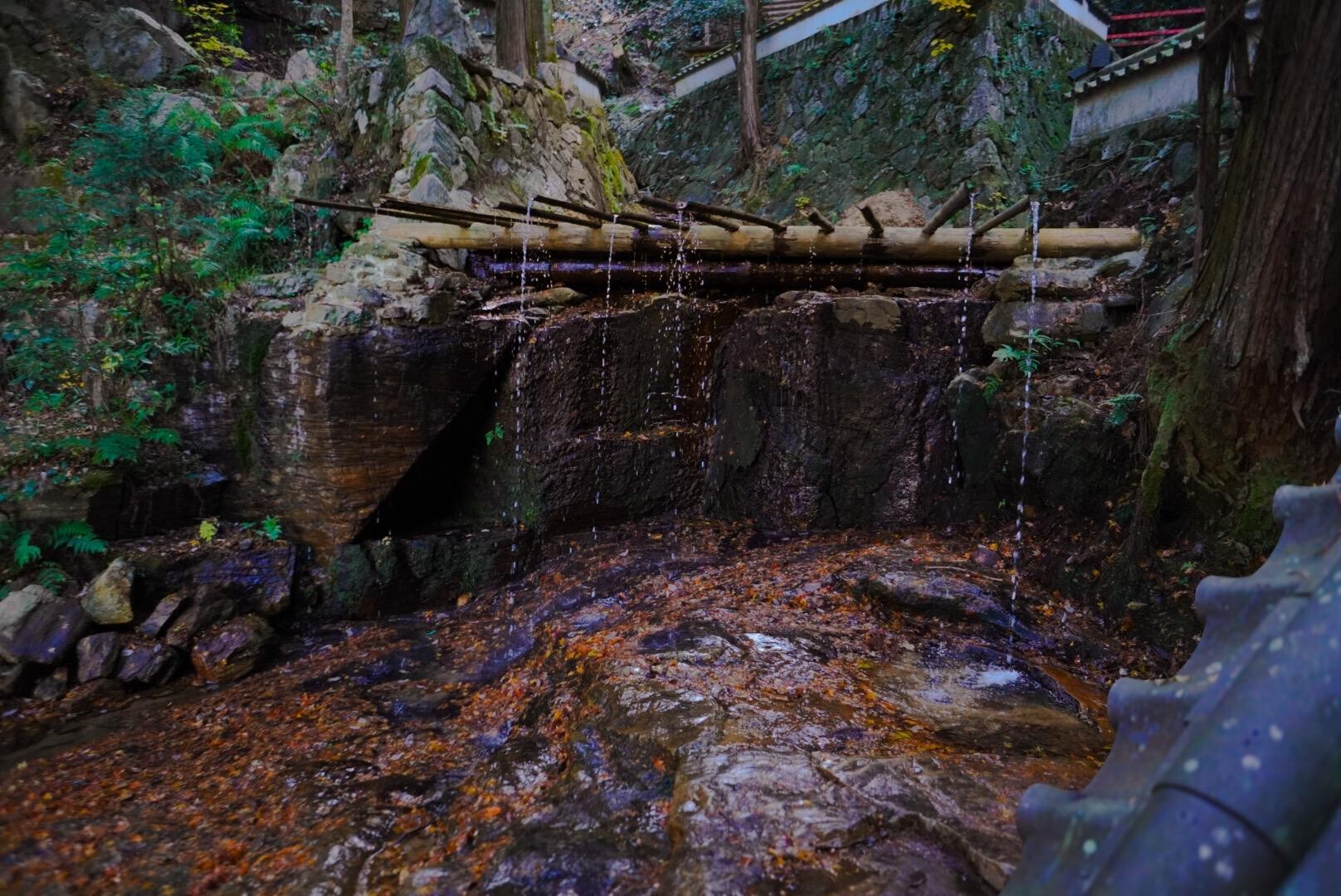 場所（西尾茶臼山） カメラ（SONYα6... / Naka🎣さんのモーメント | YAMAP / ヤマップ