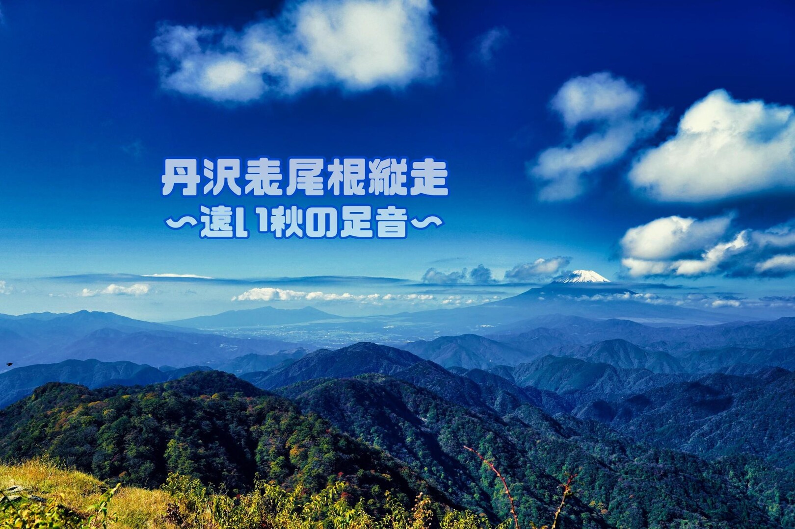 丹沢表尾根縦走👣〜遠い秋の足音〜 / Riot Kさんの塔ノ岳・丹沢山・蛭ヶ岳の活動データ | YAMAP / ヤマップ