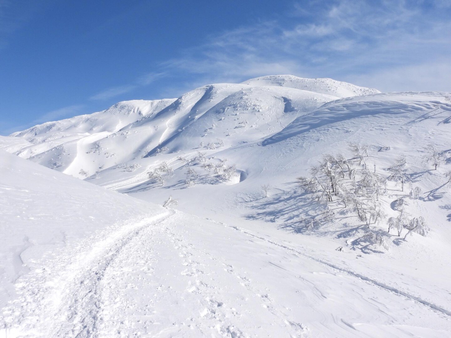 飯豊を眺めに純白の二王子岳へ / noriさんの二王子岳の活動日記 | YAMAP / ヤマップ