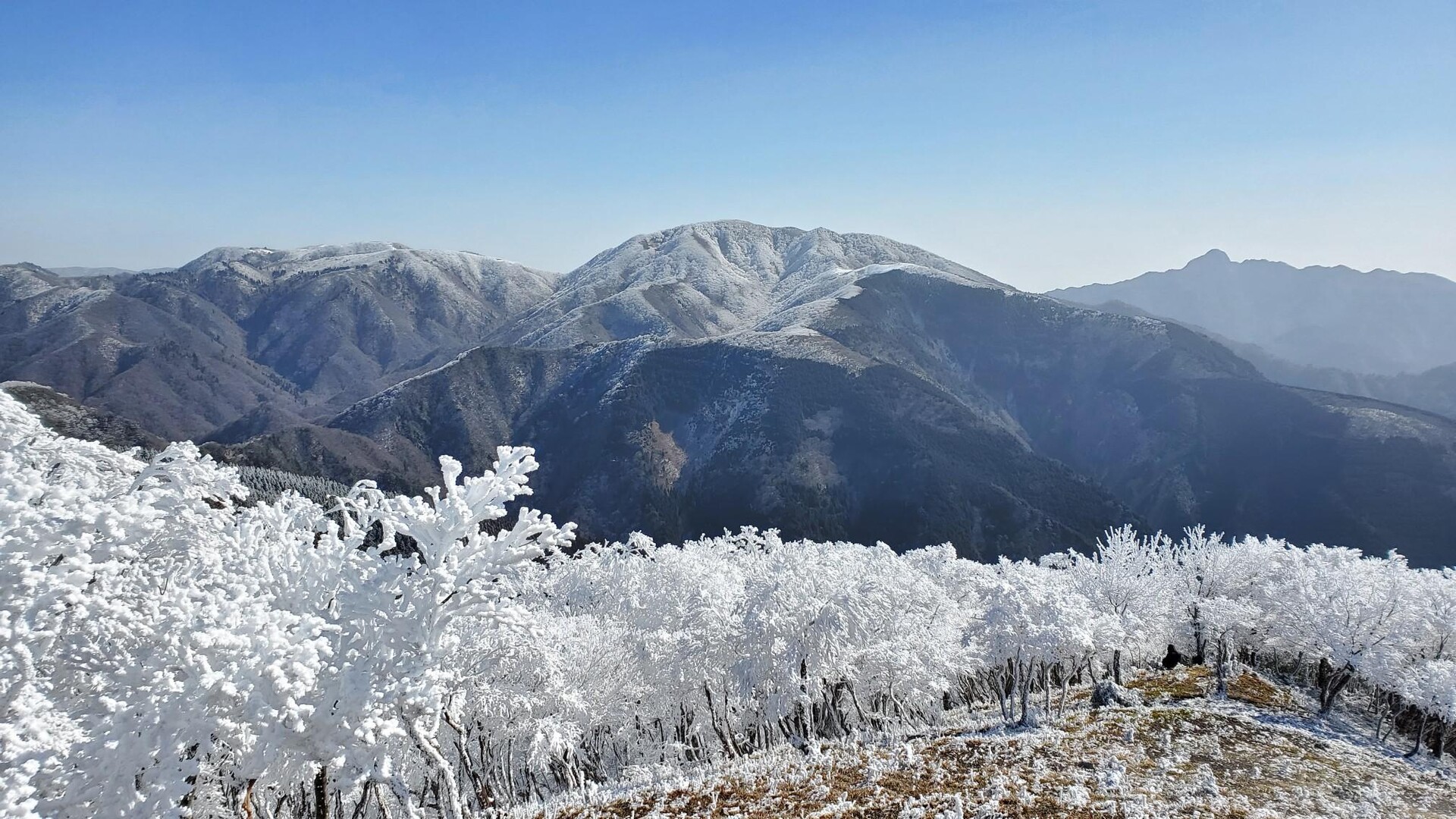 綿向山 / isaさんの綿向山の活動データ | YAMAP / ヤマップ